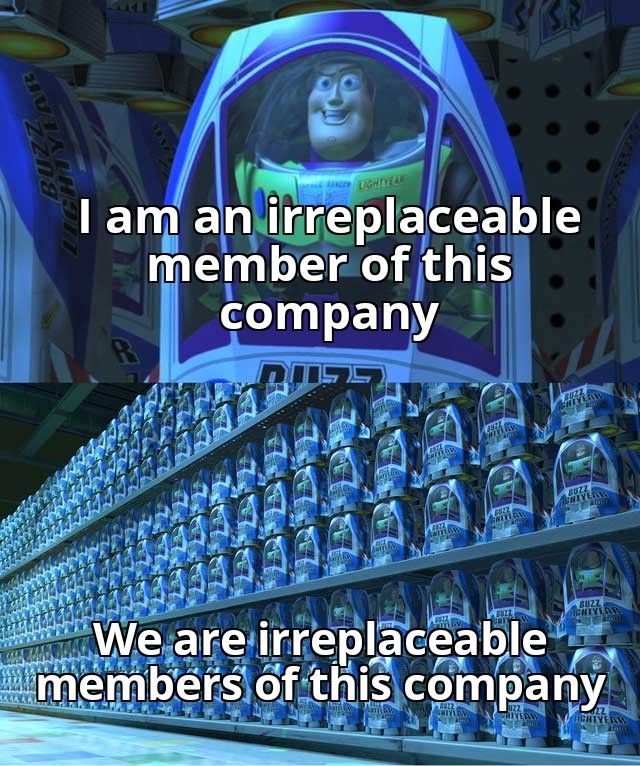 Irreplaceable | Scrolller