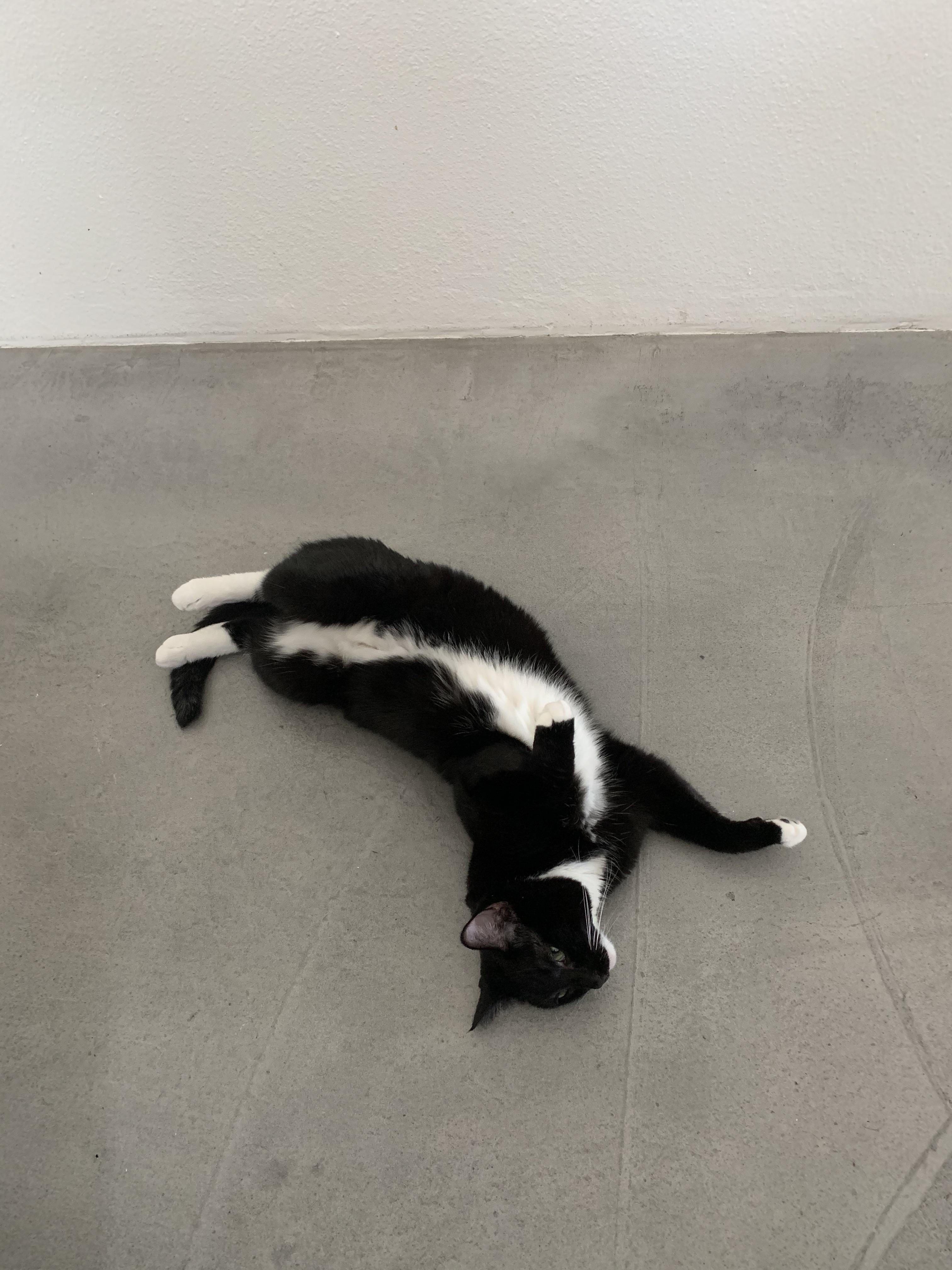 Is That Comfortable Scrolller