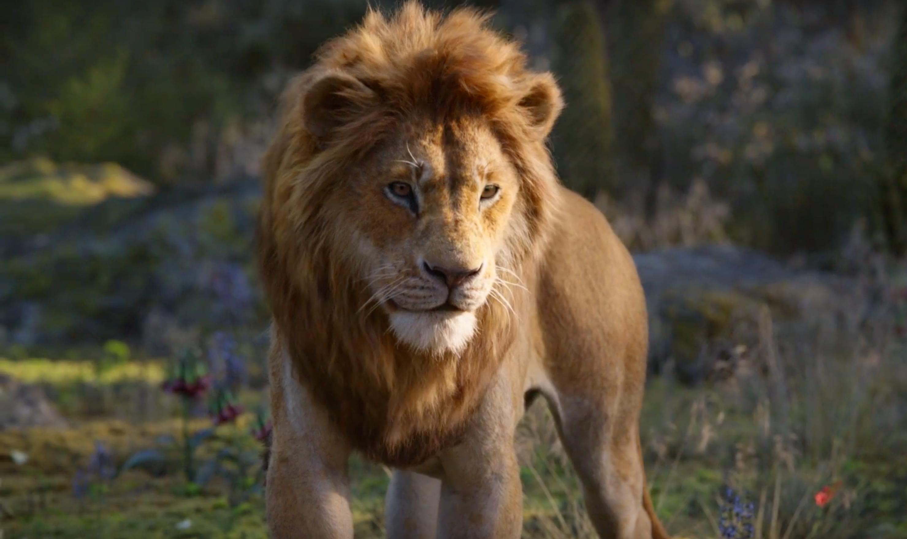 IS THE LIVE ACTION 'THE LION KING 2: SIMBA'S PRIDE' REALLY GONNA BE THAT BAD?!?! | Scrolller