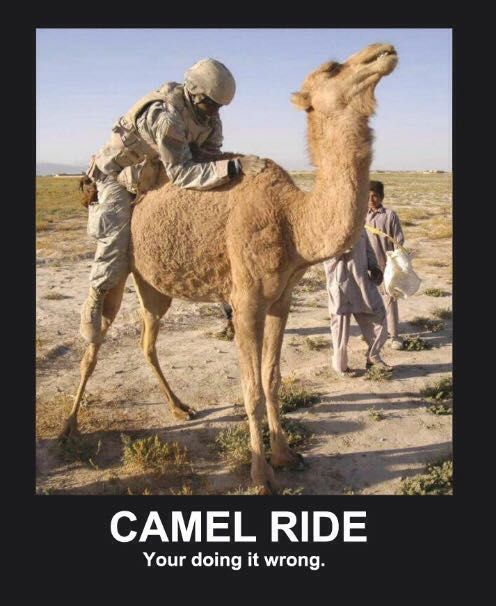 Is this correct? | Scrolller