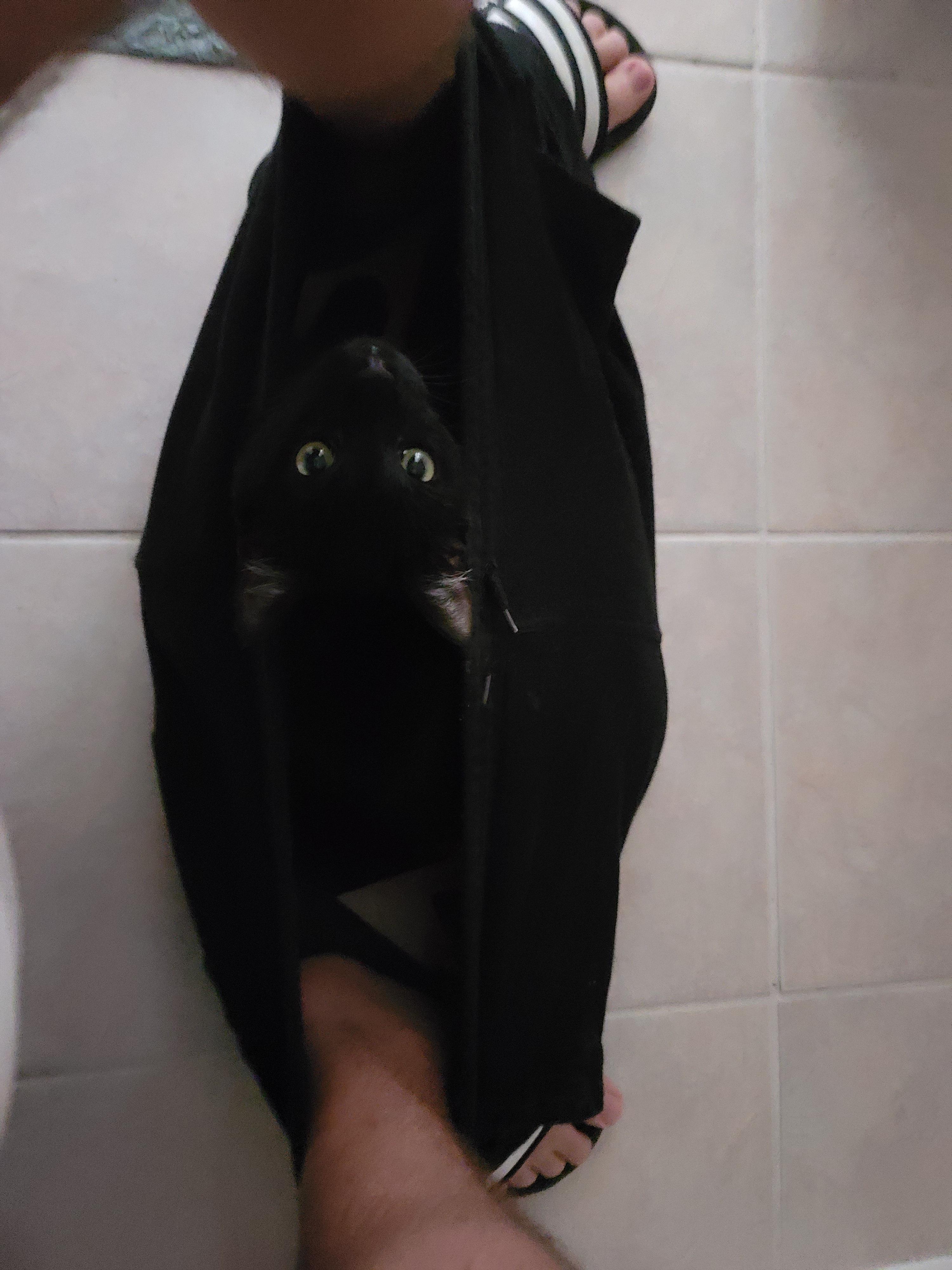 Is this cute or gross? | Scrolller