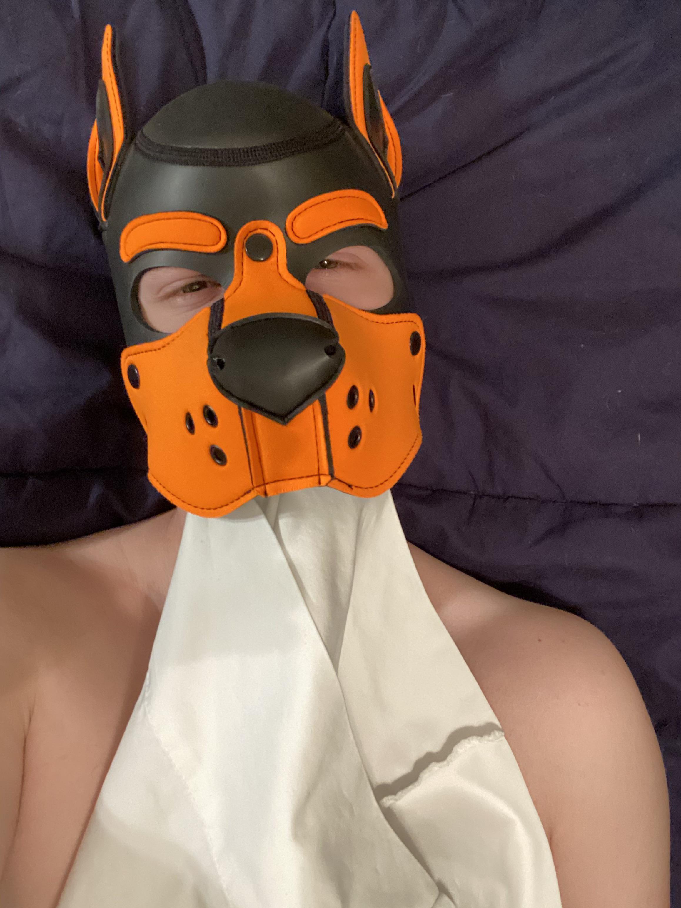 Is this how to make bed? | Scrolller