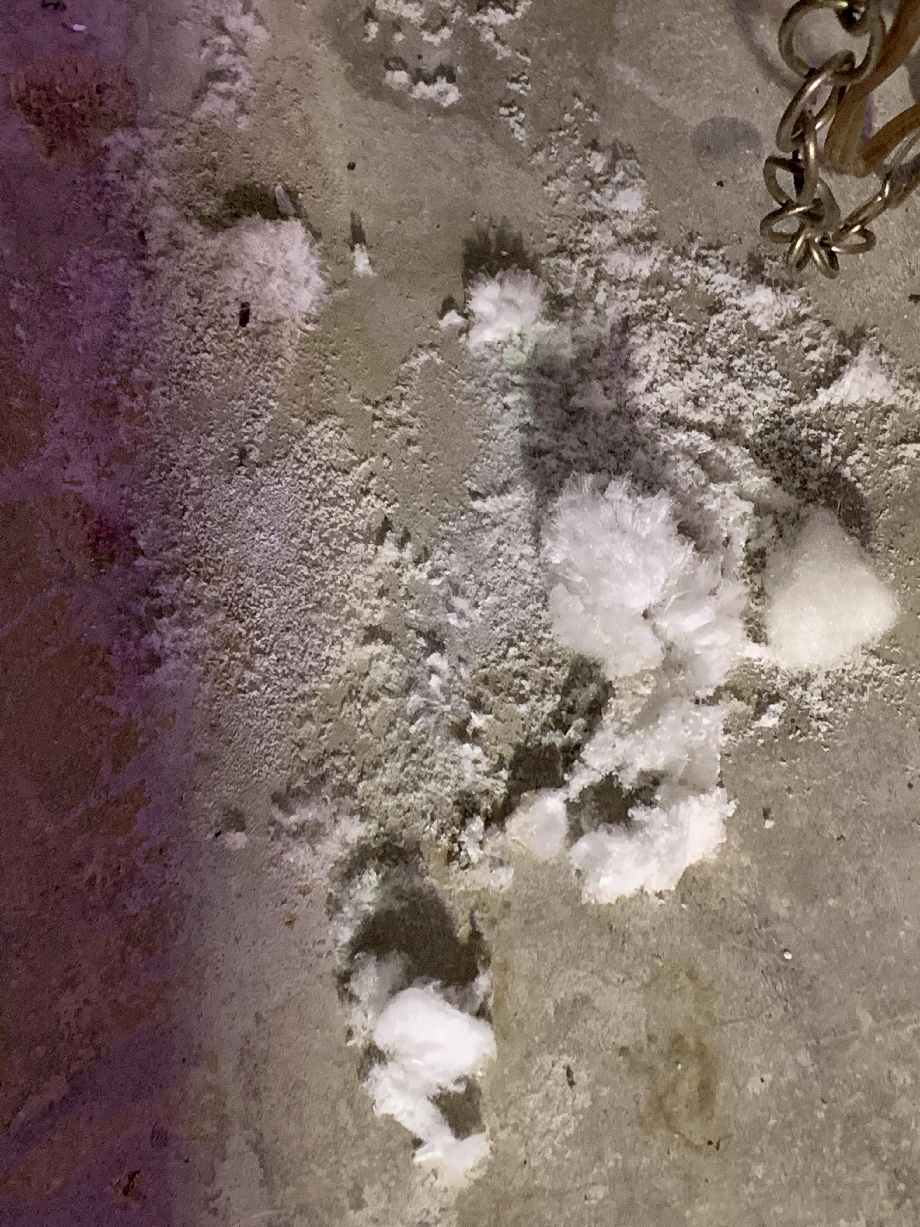 Is this mold? | Scrolller