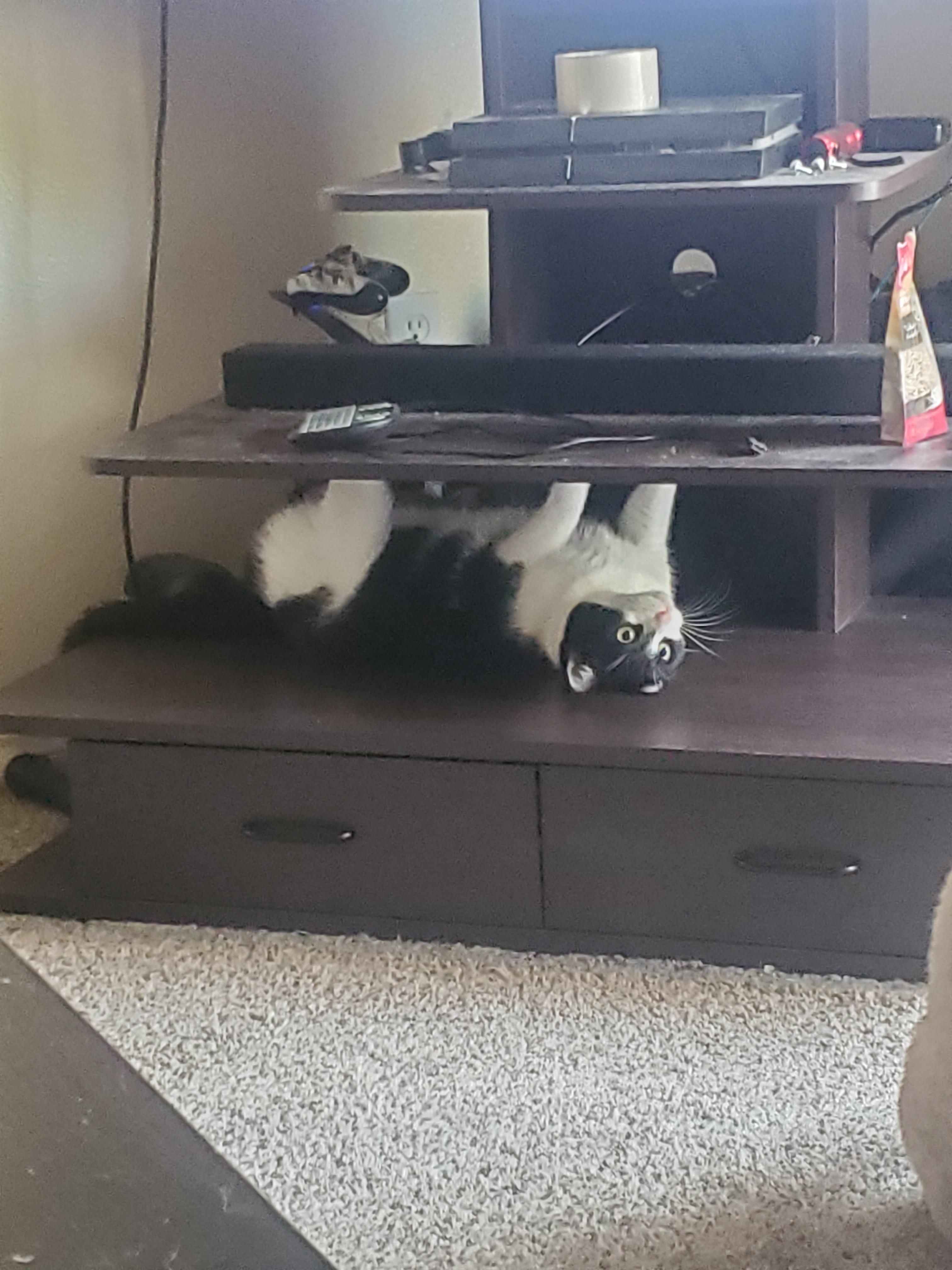 Is this normal behavior? | Scrolller