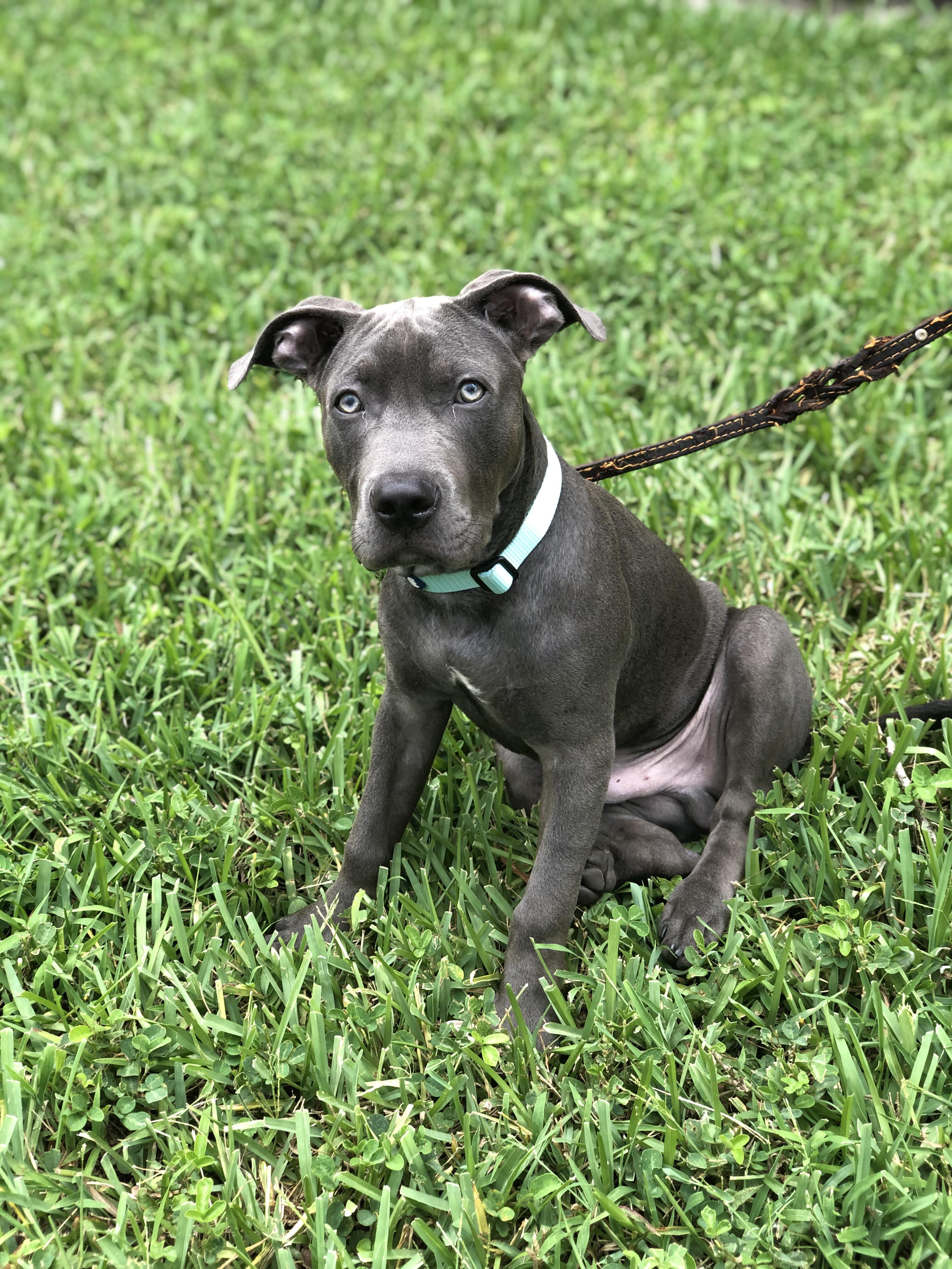 Isn’t Casper beautiful? 😍 | Scrolller