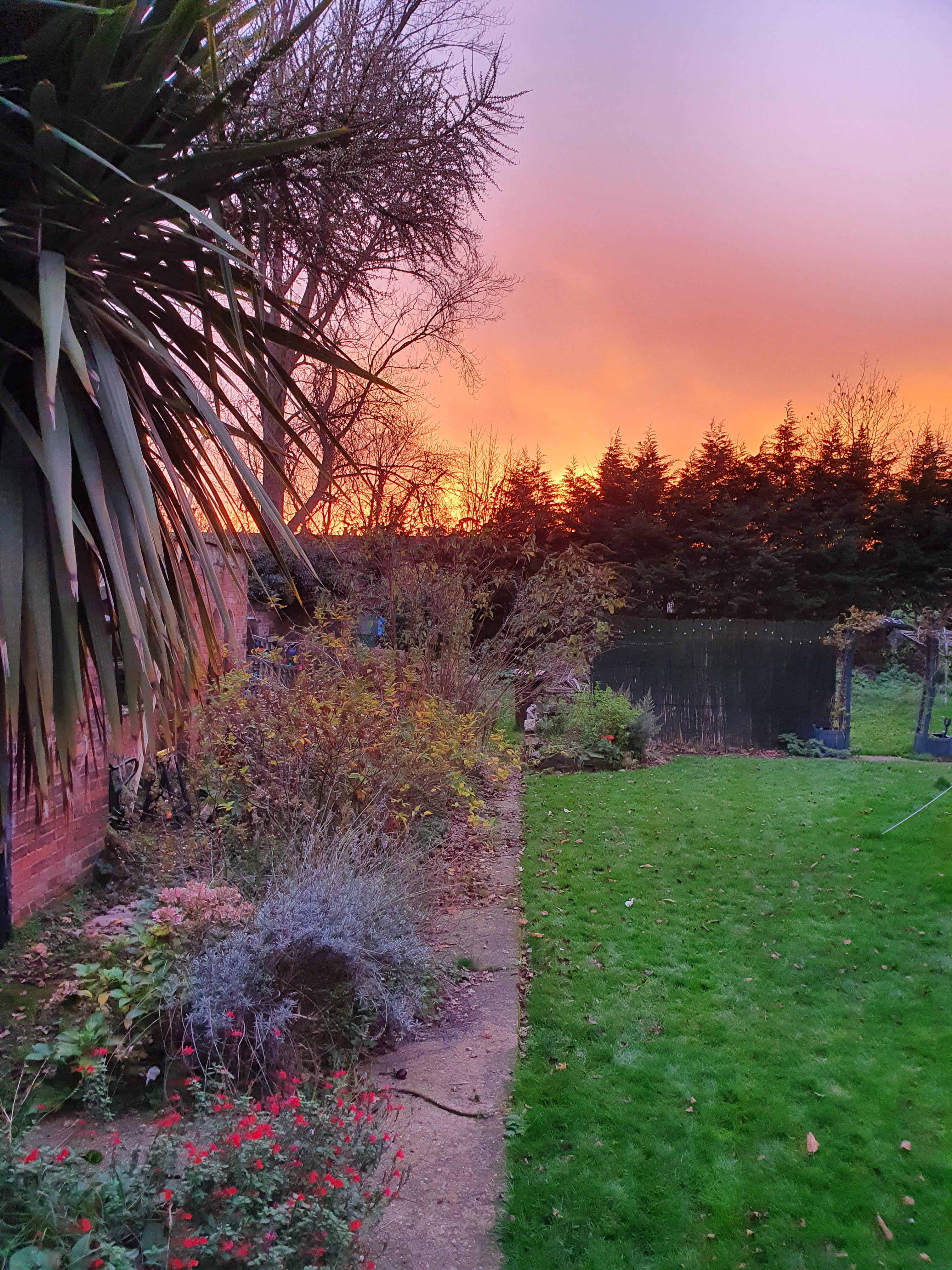 Isolation sun sensation | Scrolller