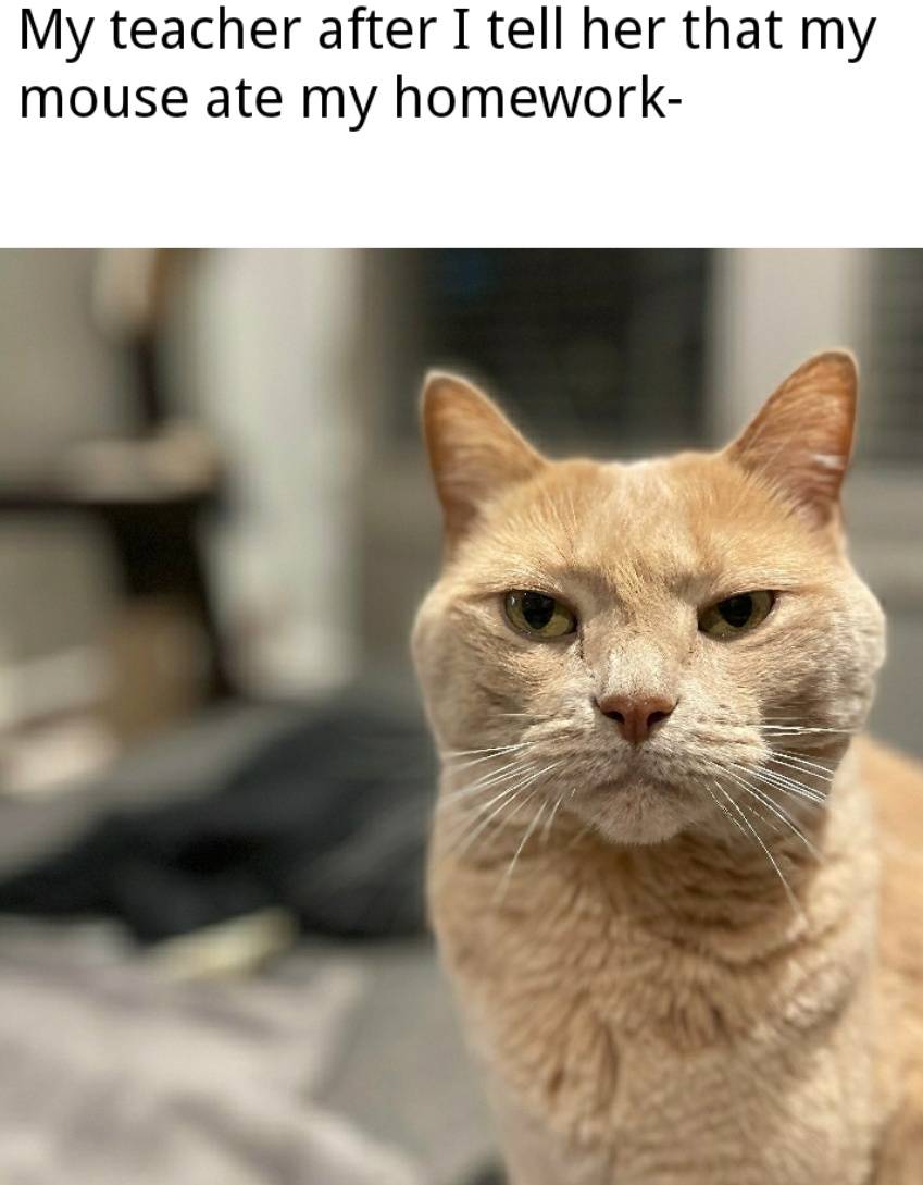 It be true | Scrolller