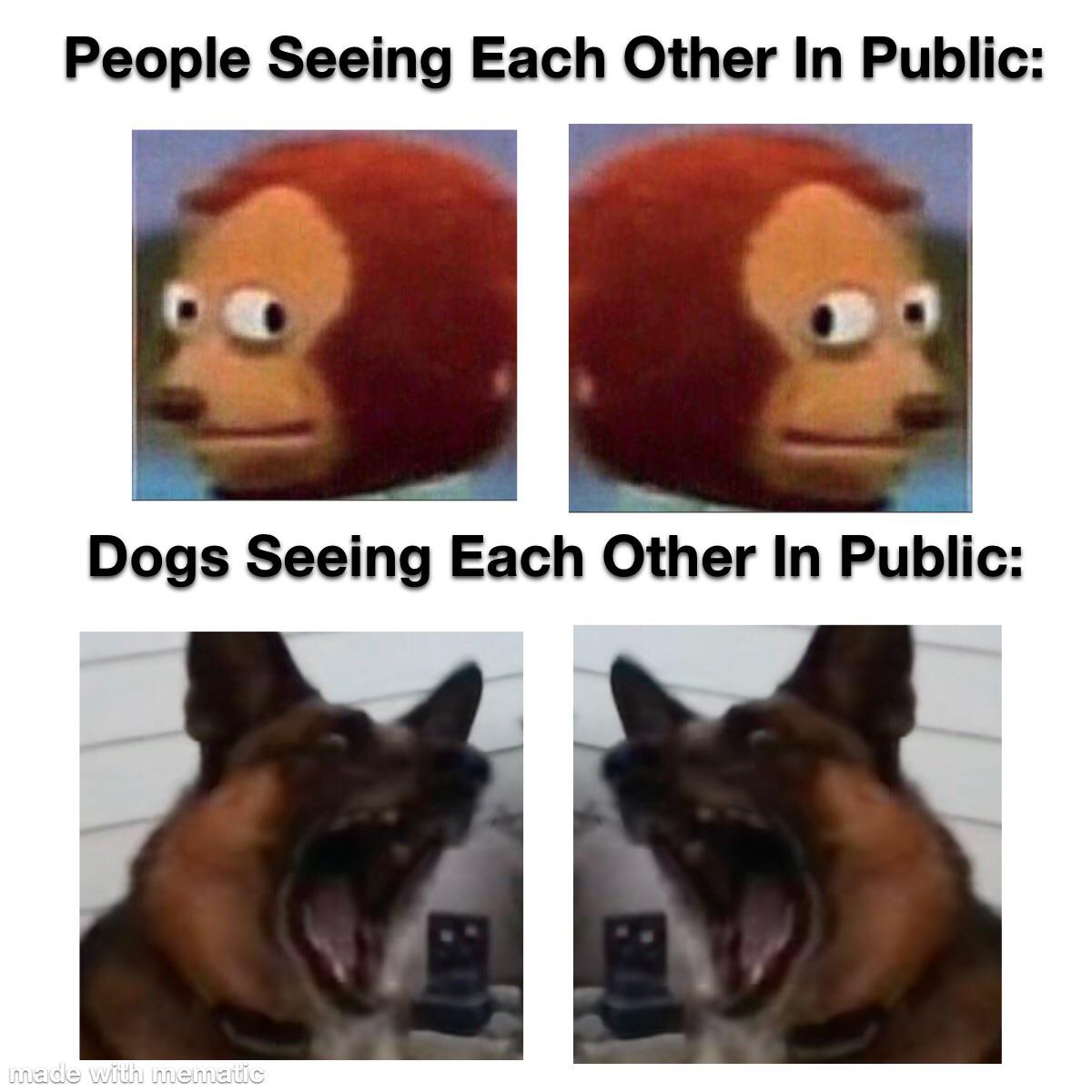 It Do Be Like That Though | Scrolller