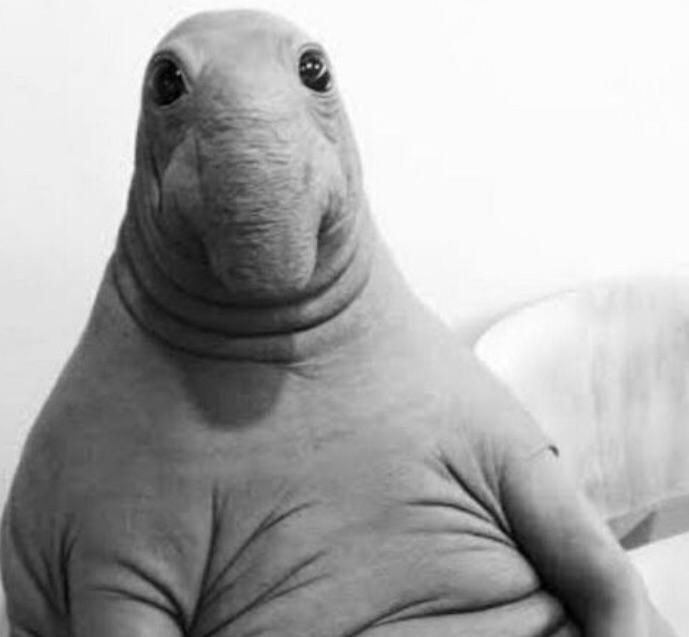 It do be like this | Scrolller