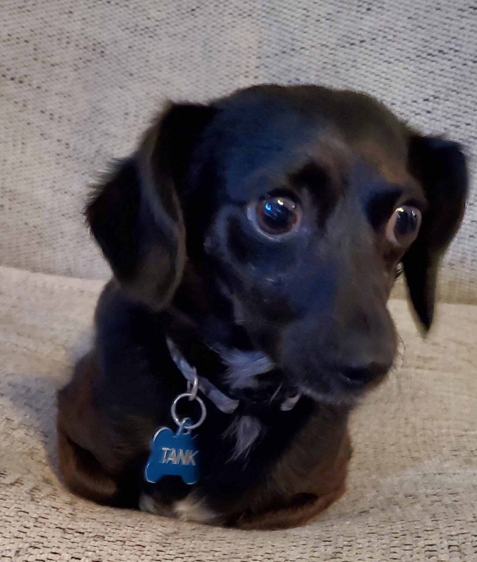 It finally happened! An epic loaf! | Scrolller