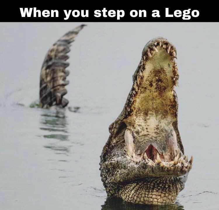 It hurts | Scrolller