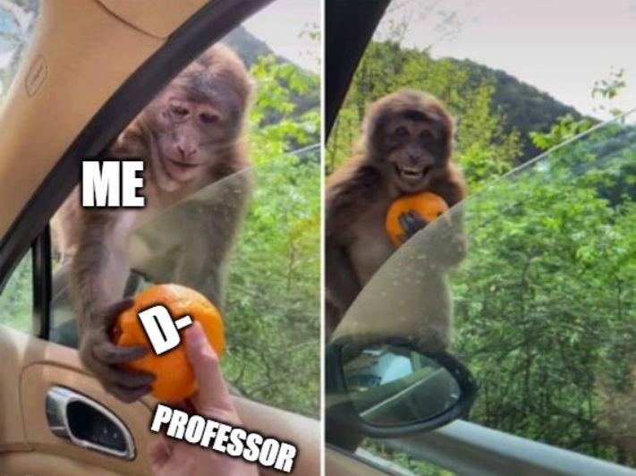 It really do be like that sometimes. | Scrolller