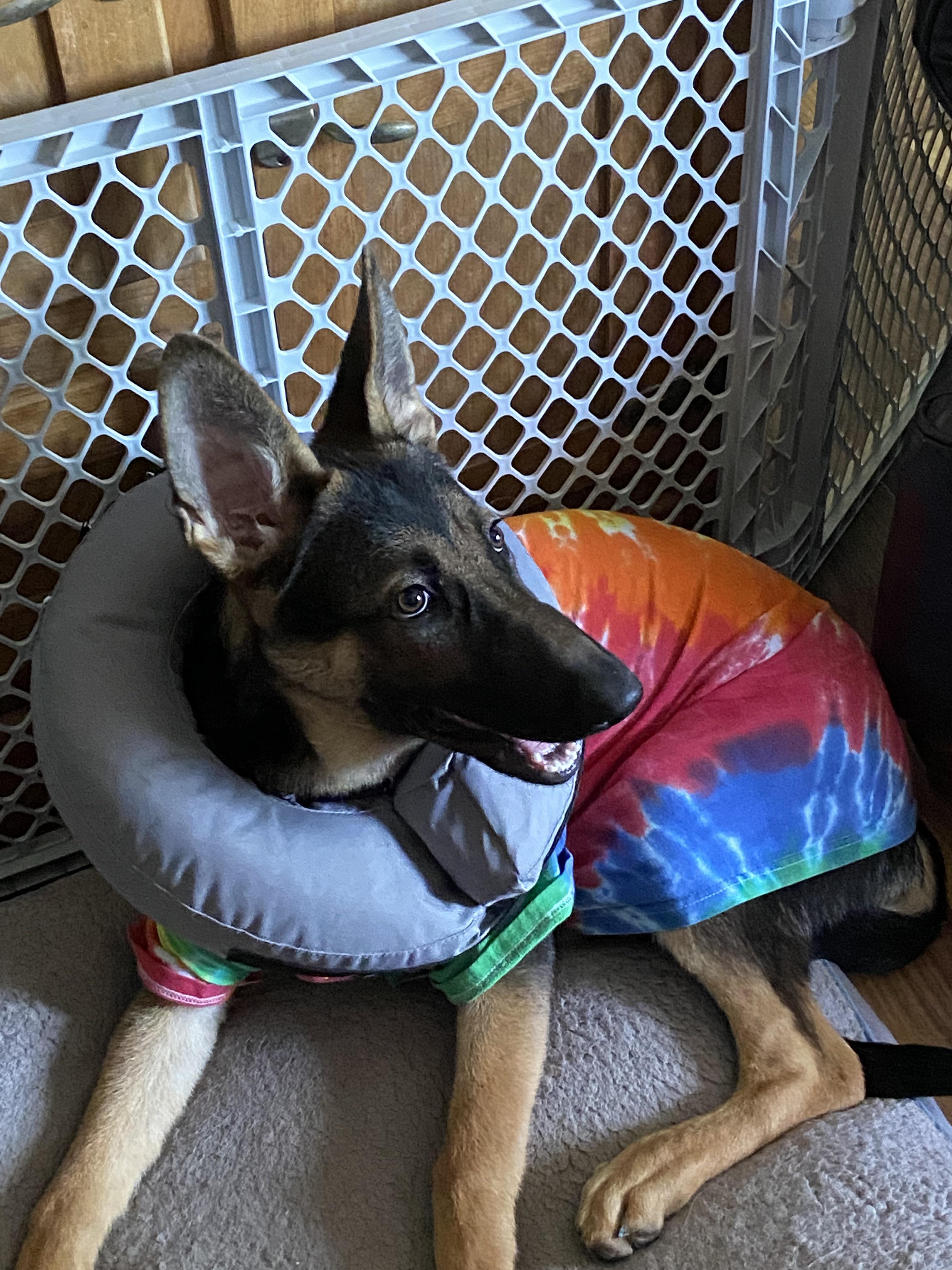 It’s called style hun | Scrolller