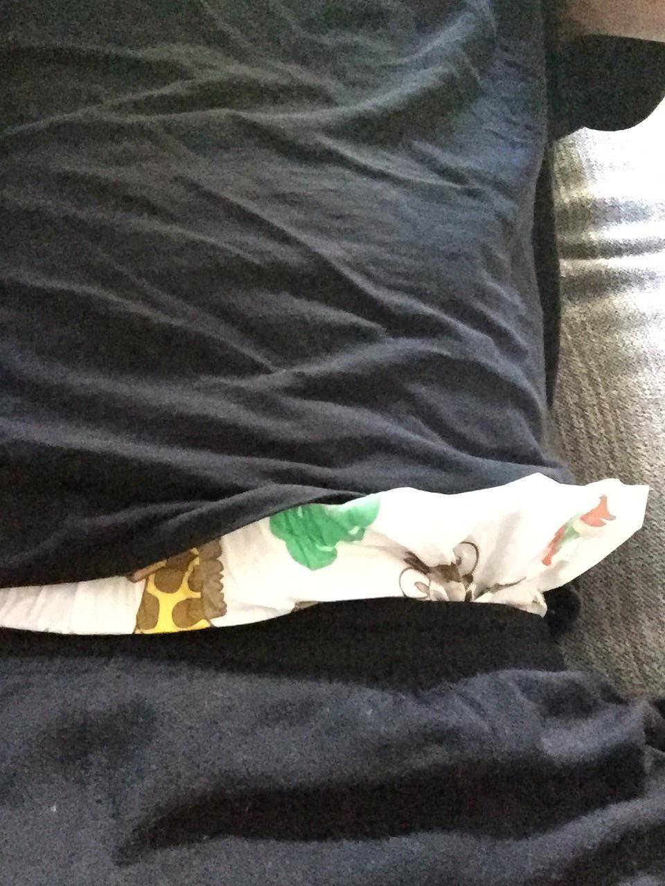 It’s just a wee little bit | Scrolller