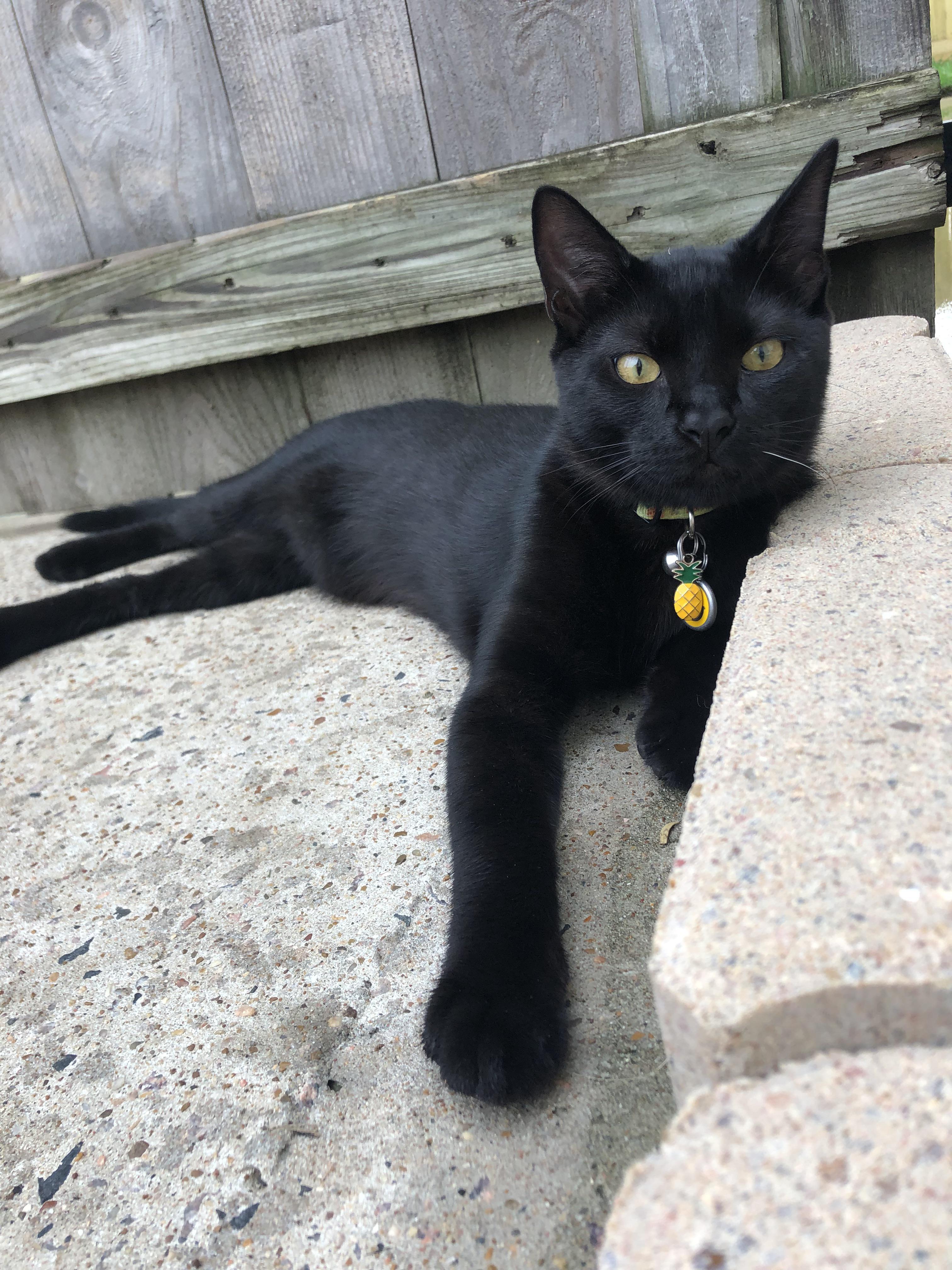 It’s Mayonnaise first Spooky Season | Scrolller