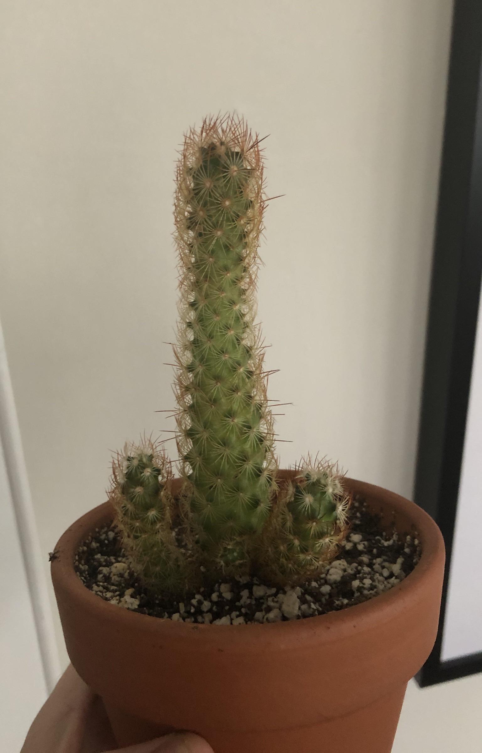 It’s not all about girth. | Scrolller