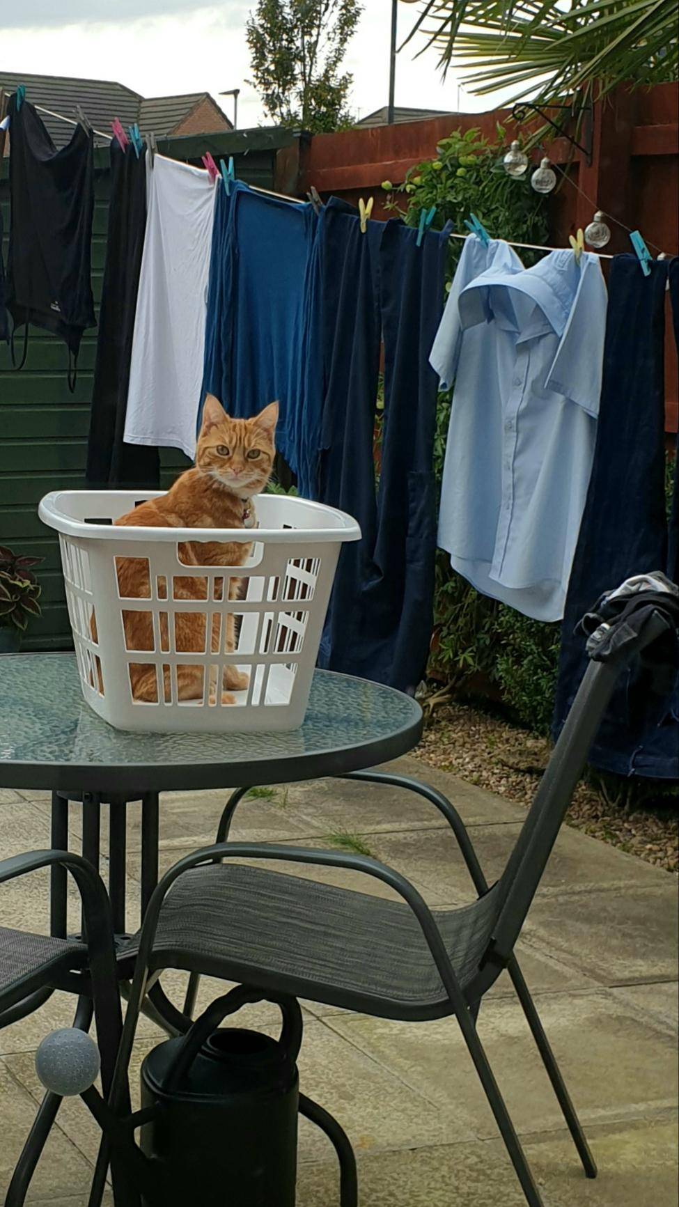 It worked! 😊 | Scrolller