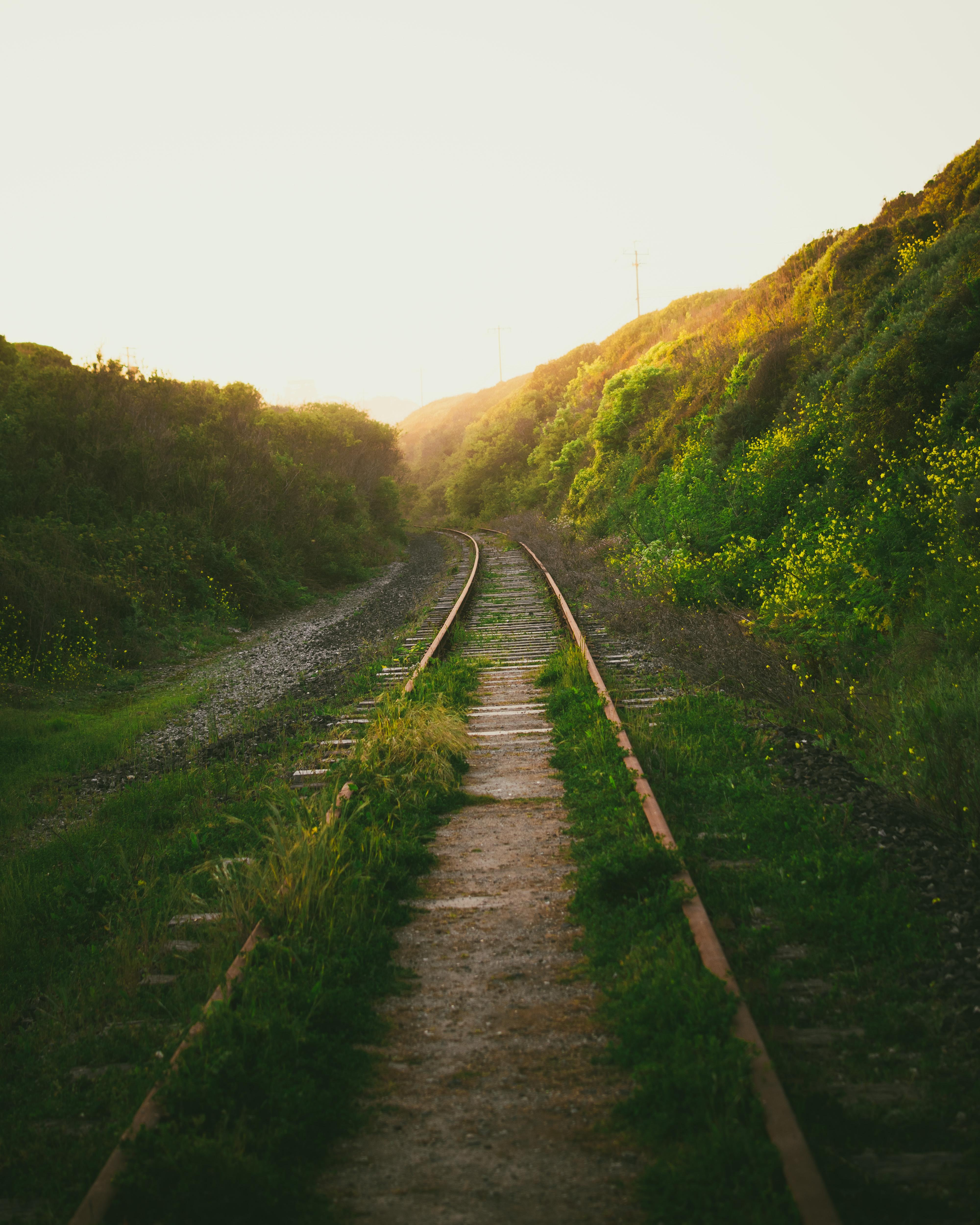 ITAP of overgrown rail tracks | Scrolller