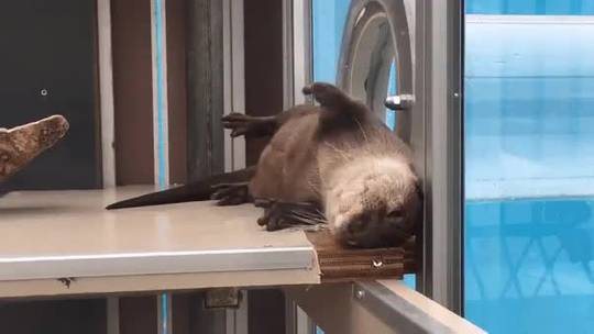 Itchy Back | Scrolller