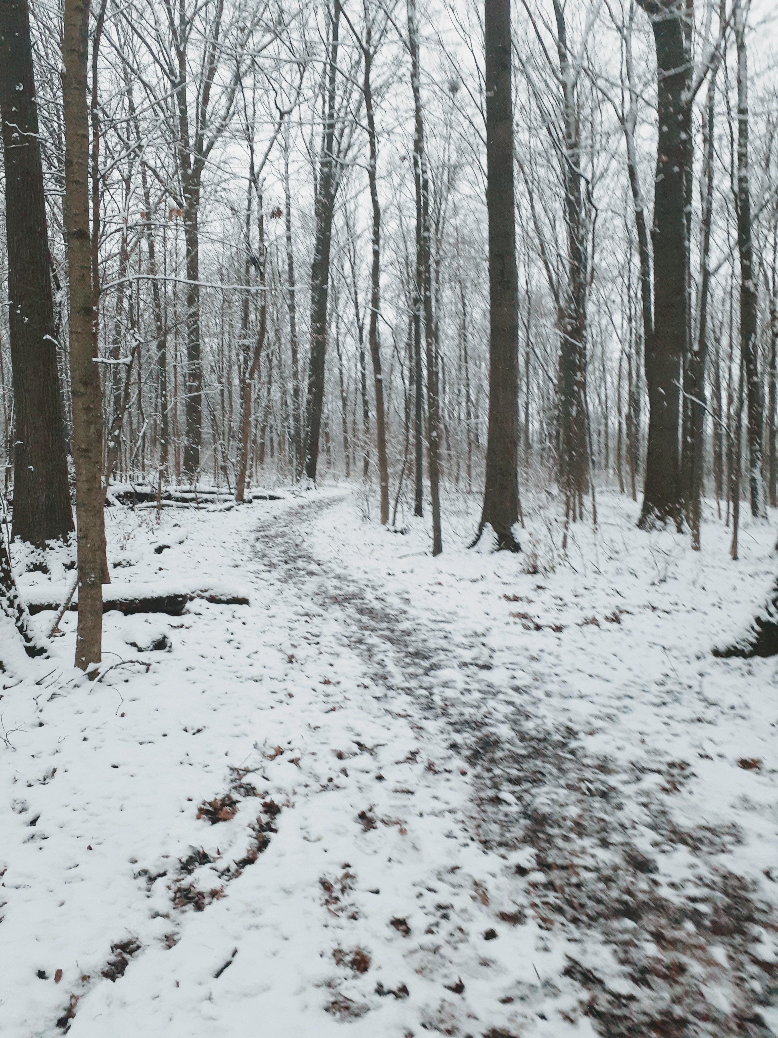 It's a nice little path | Scrolller