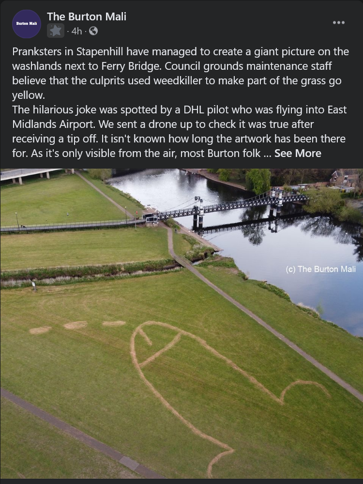 It's A Rocket Ship, guys! | Scrolller