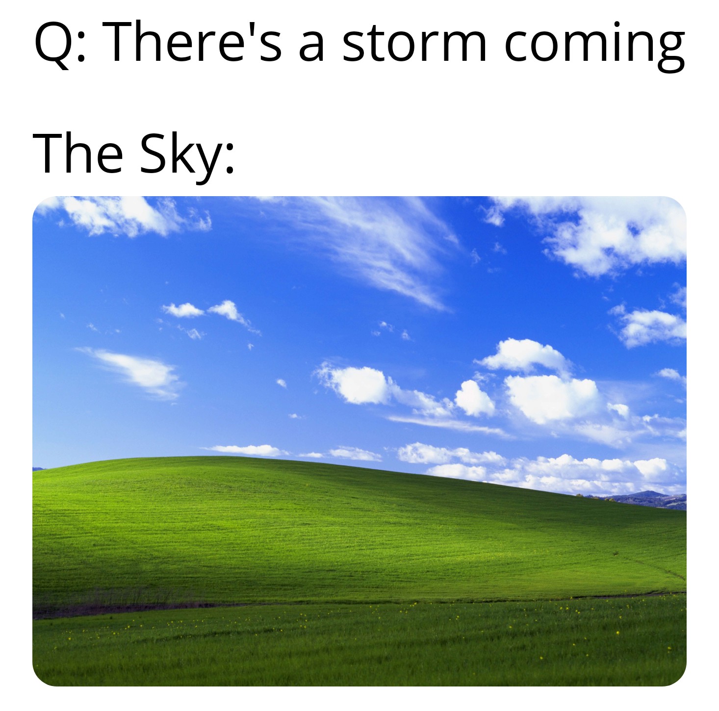 It's all part of the plan guys | Scrolller