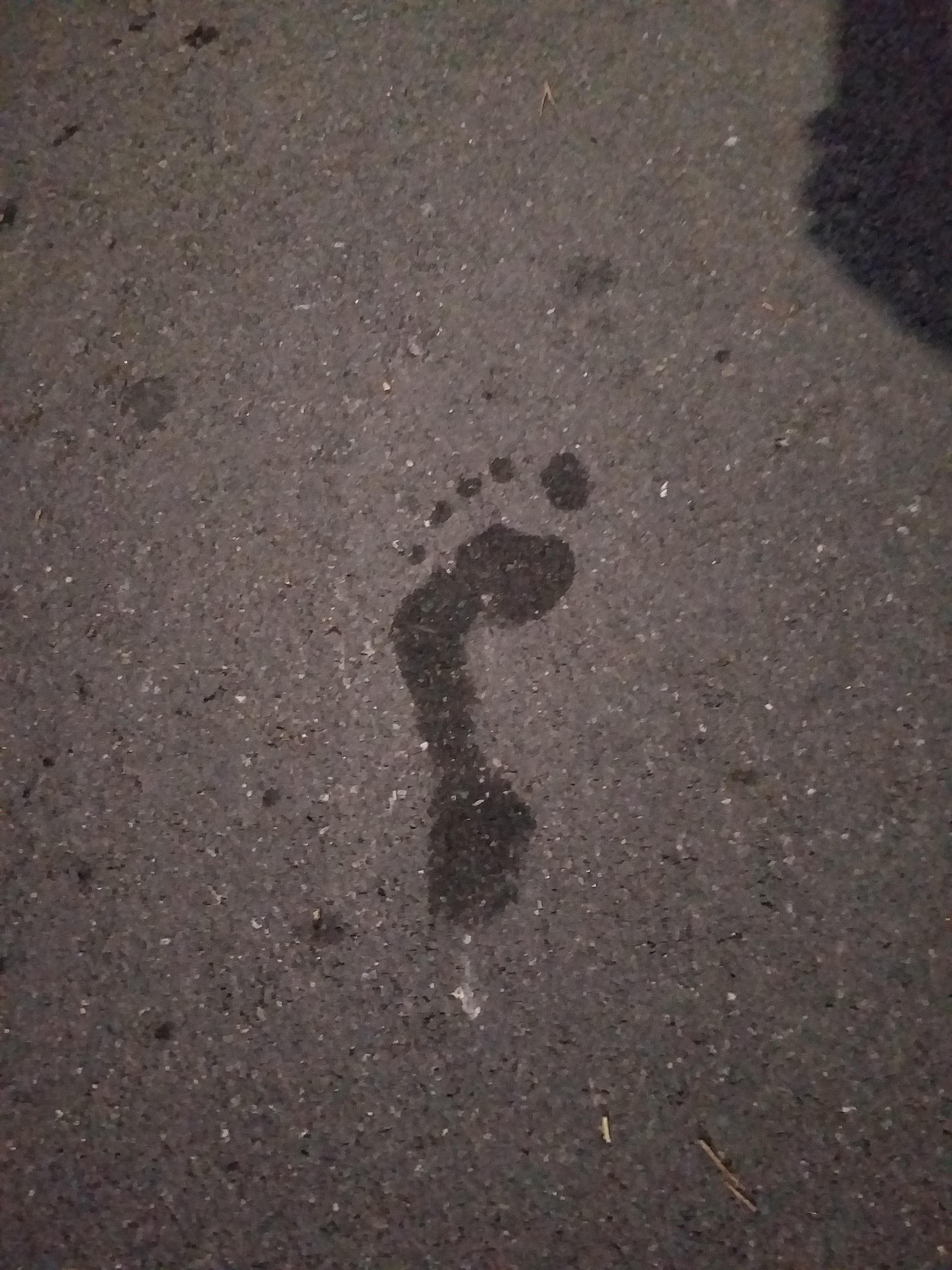 It's always nice seeing my own footprints from the previous lap | Scrolller