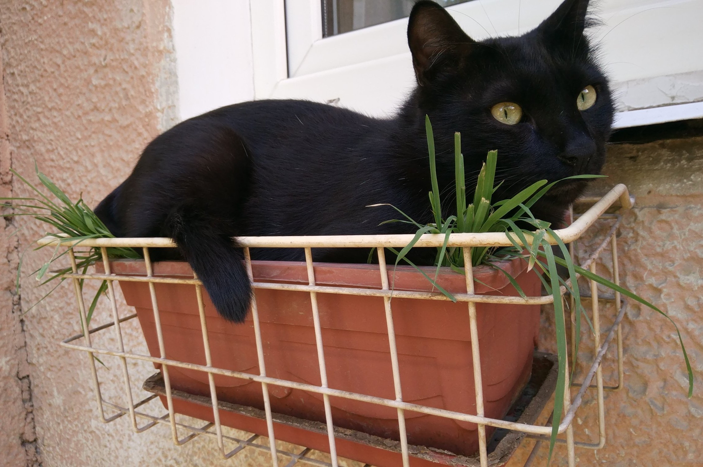 It's blooming! | Scrolller