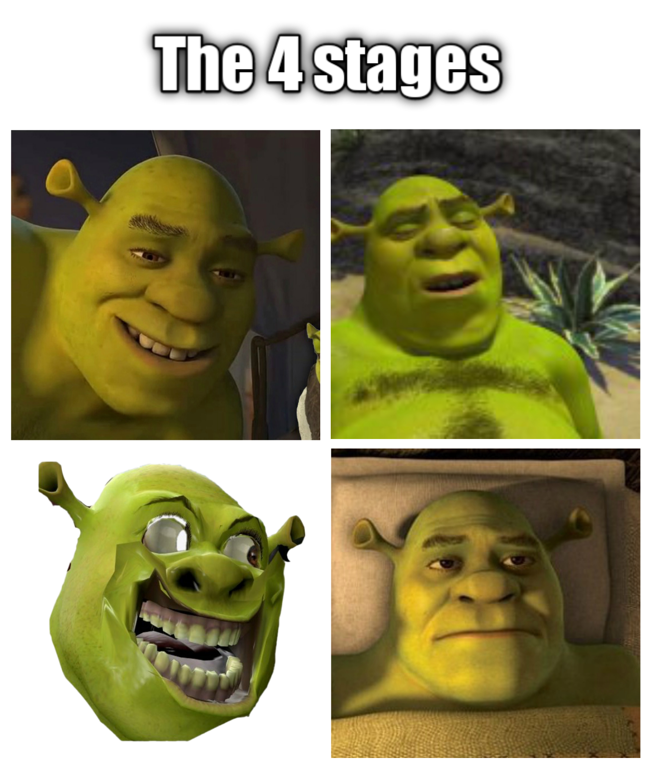 Its destroy dick December y'all | Scrolller