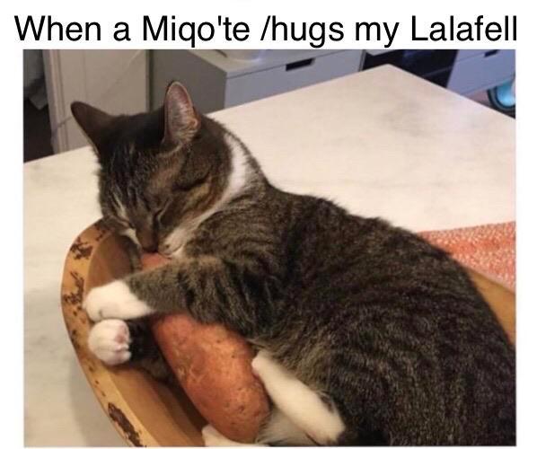 It's practically a screenshot | Scrolller