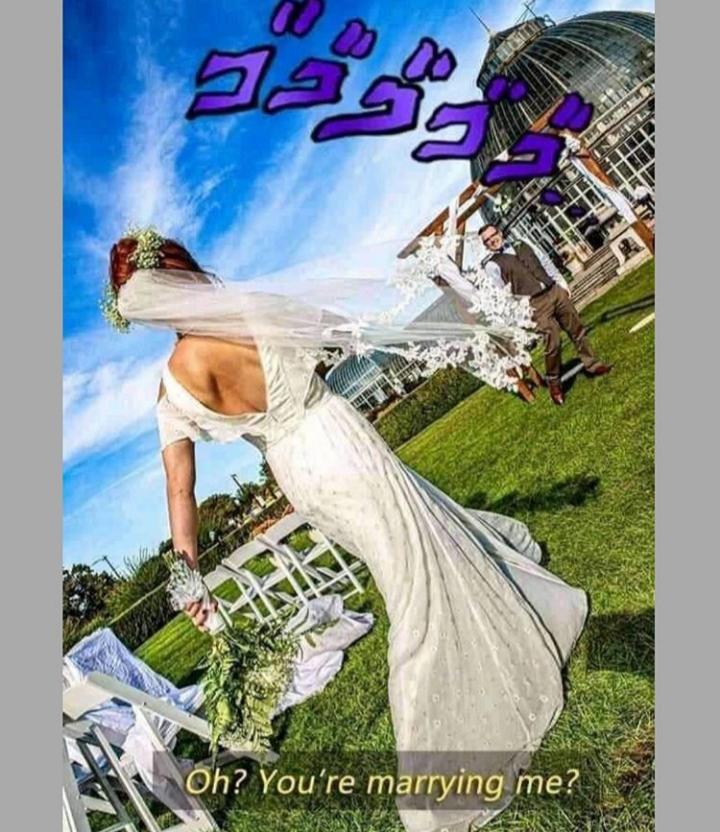 It's starting | Scrolller