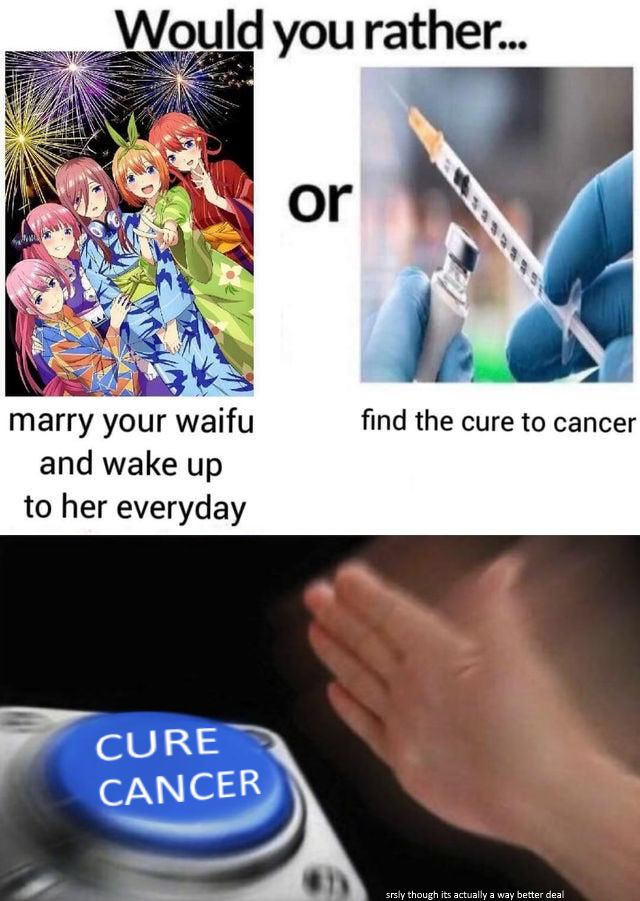 It's the logical choice | Scrolller