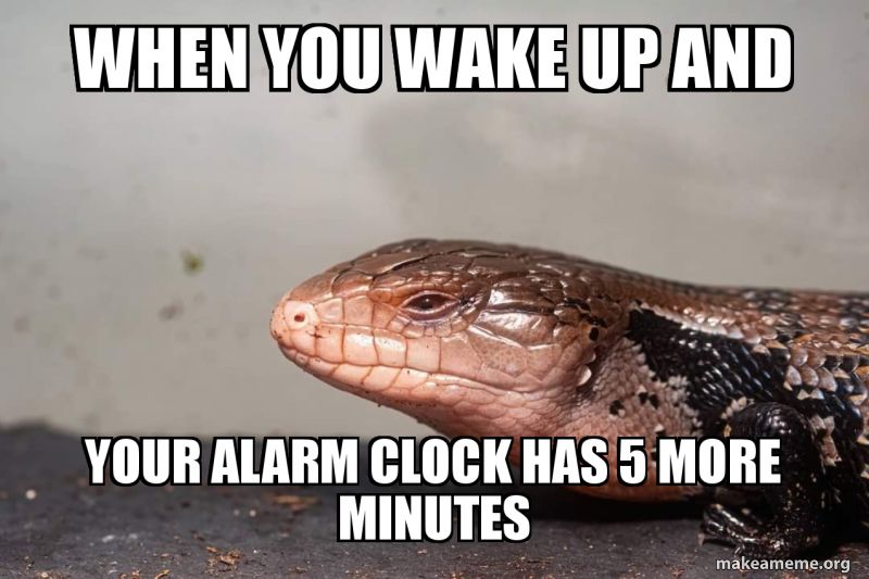 Its the worst | Scrolller