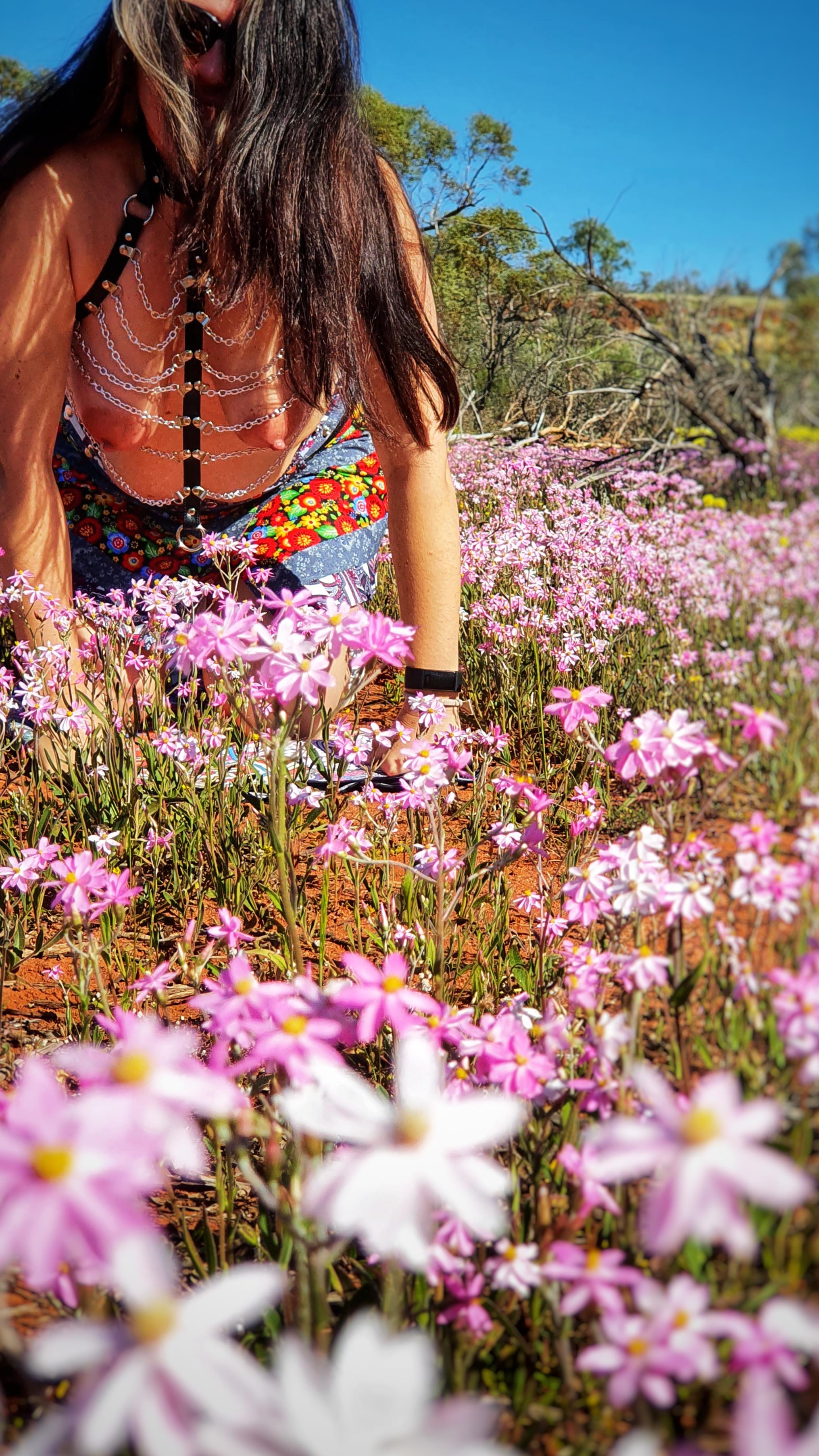 It's wildflower season, hope you're enjoying it. | Scrolller