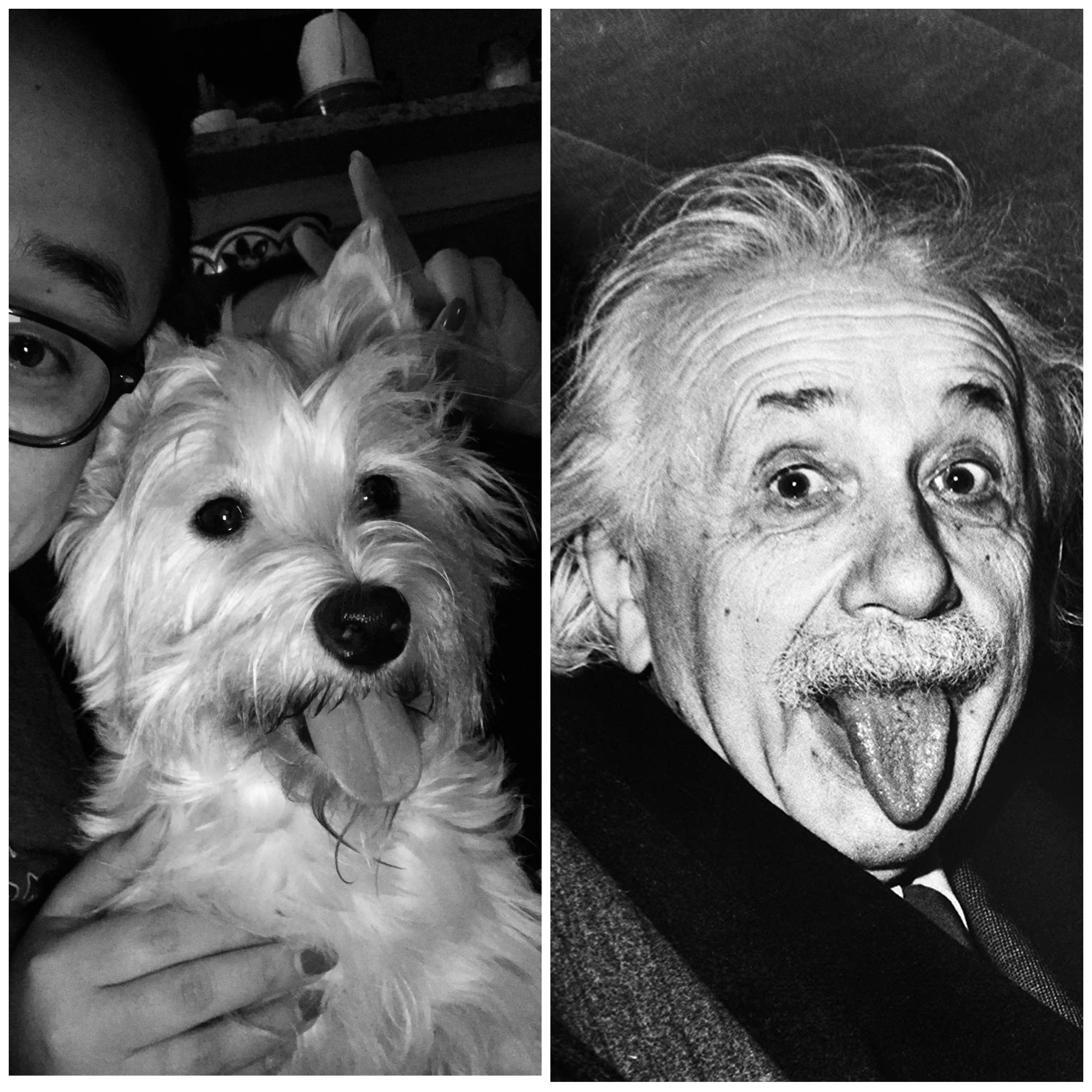 Izzi with an uncanny resemblance! | Scrolller