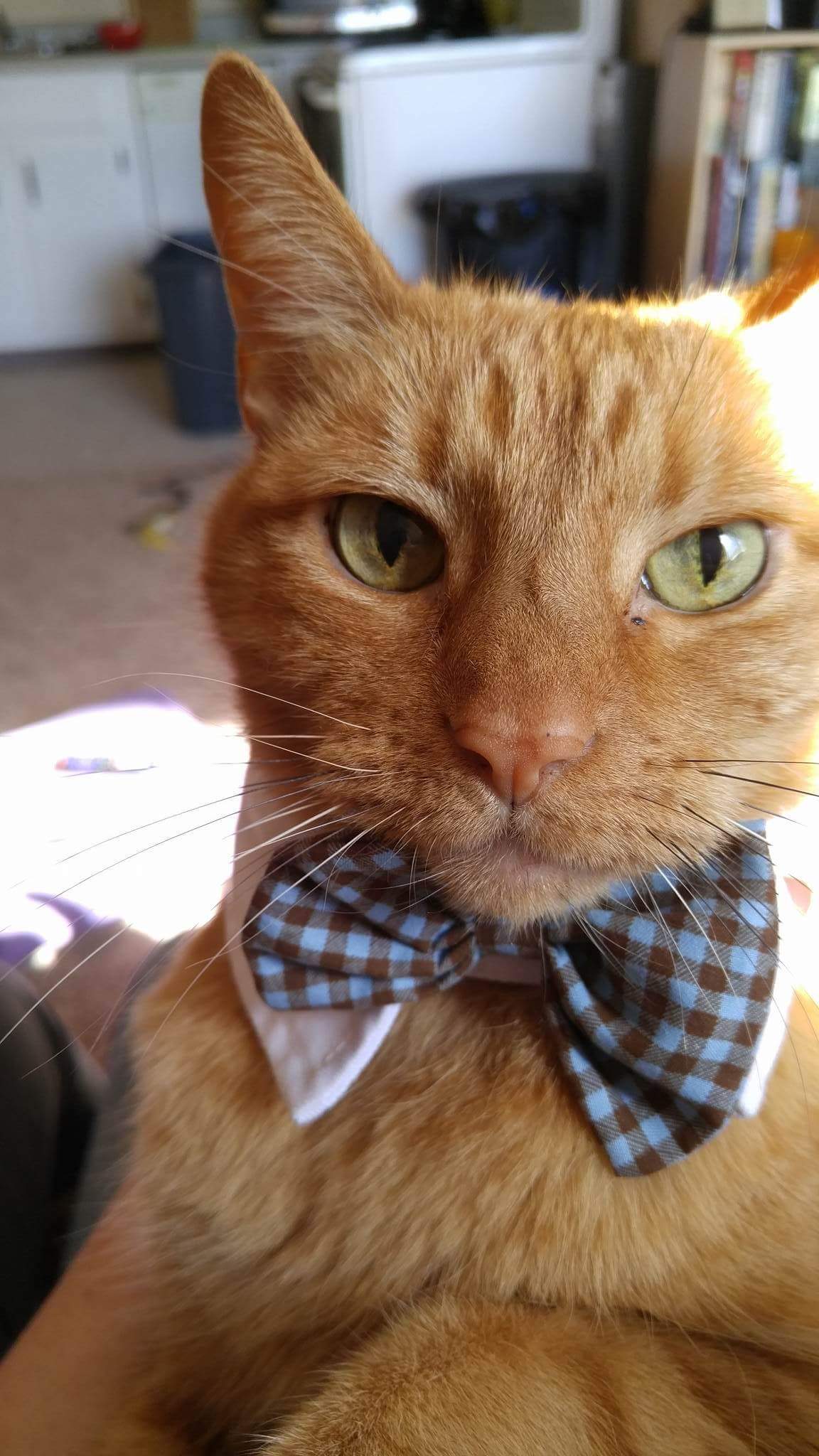 Jack looking dapper | Scrolller