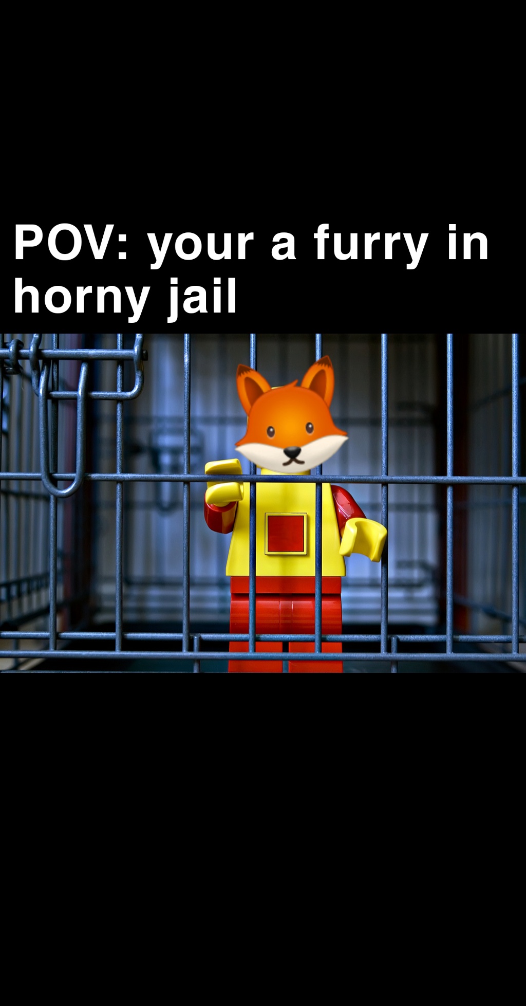 Jail_irl | Scrolller