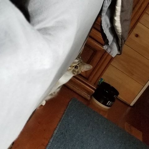 Jasper plotting murder | Scrolller