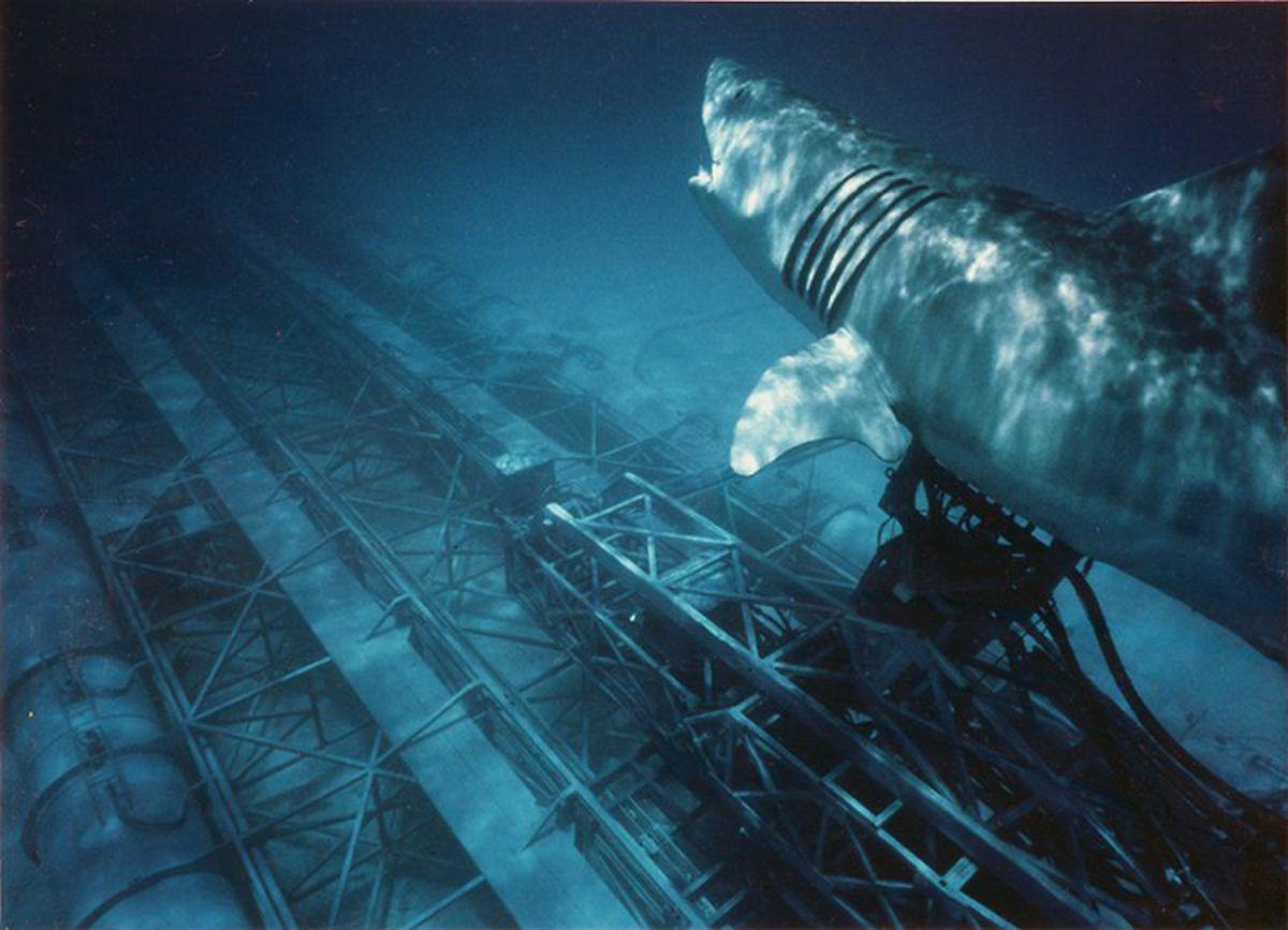 Jaws The Revenge underwater track | Scrolller