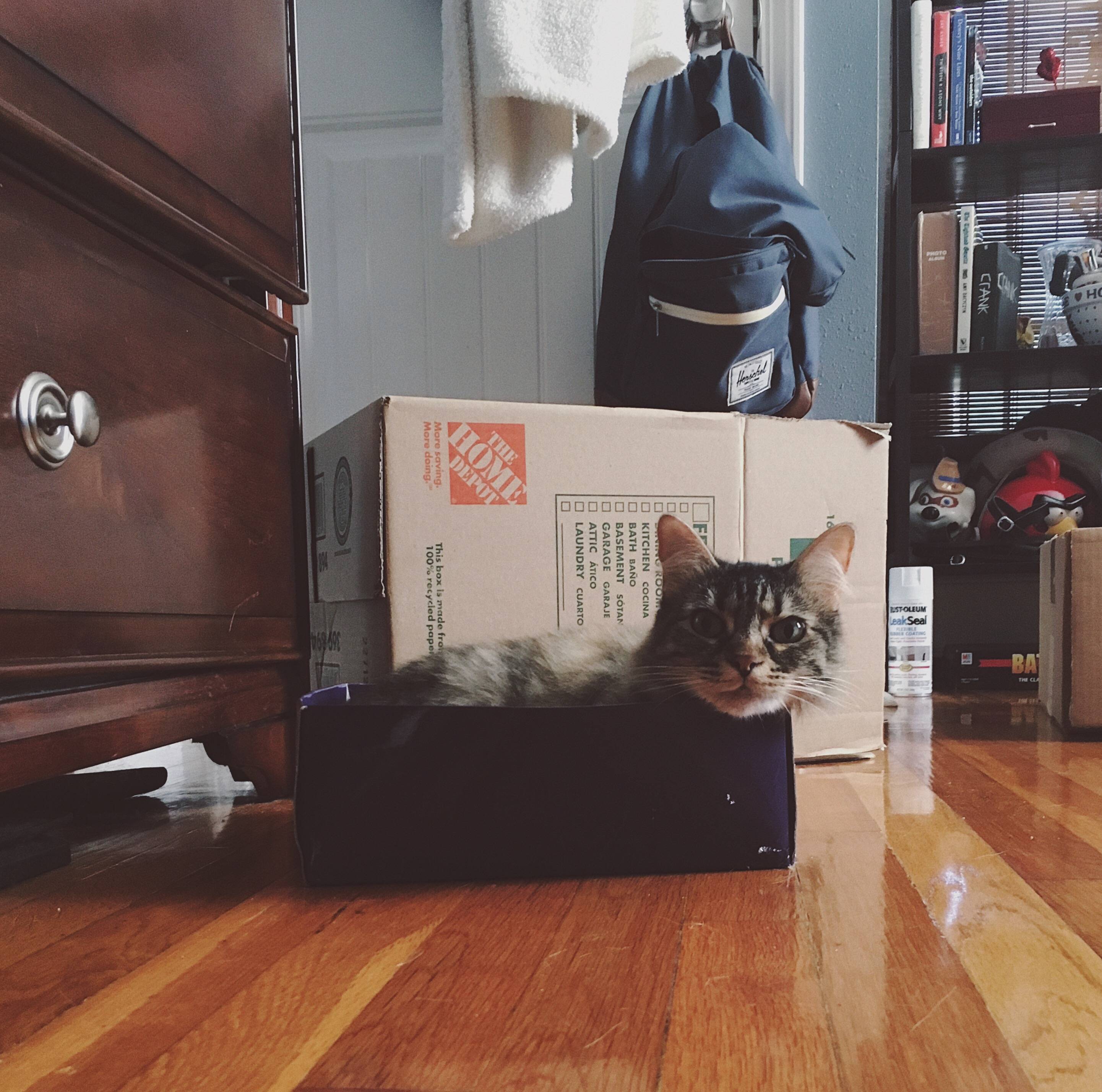 Jazz in the Box | Scrolller