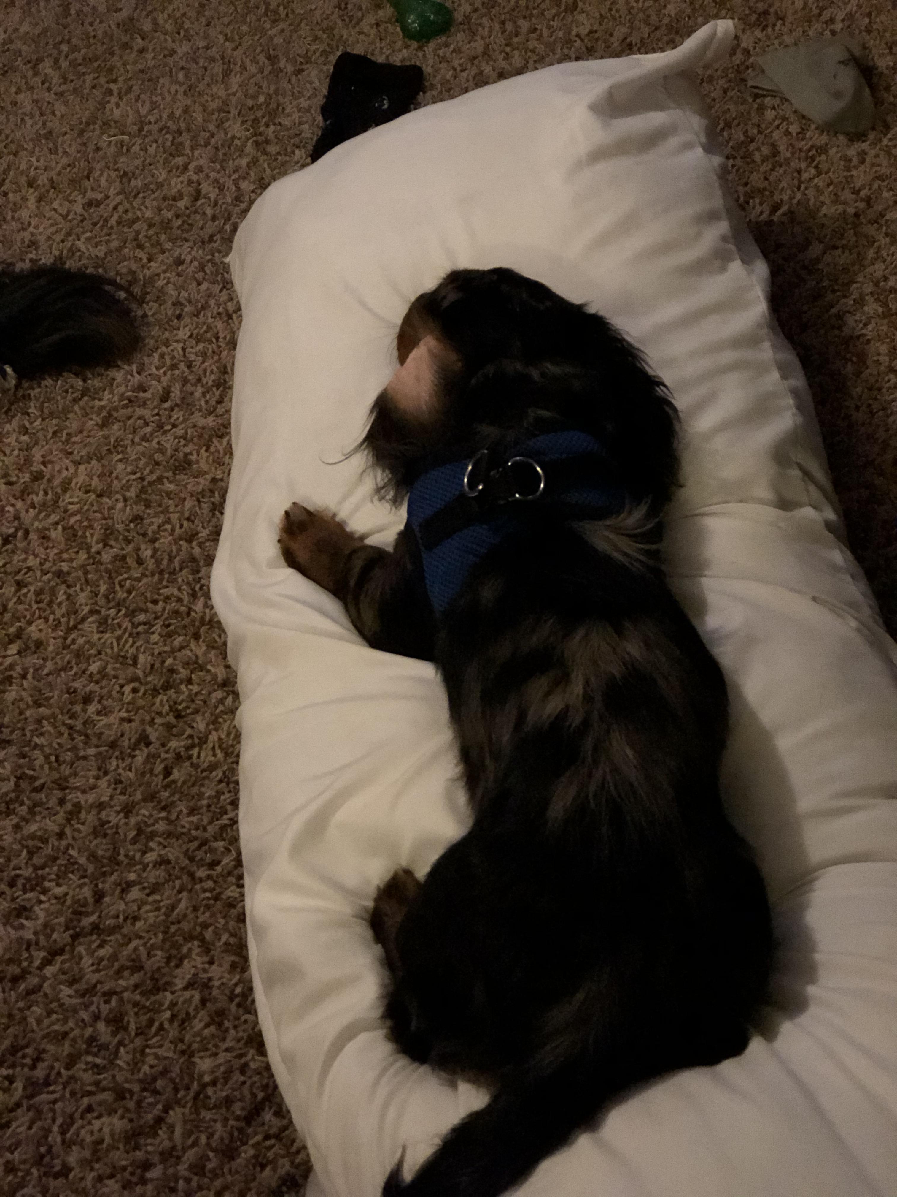 Jeter loves his body pillow | Scrolller
