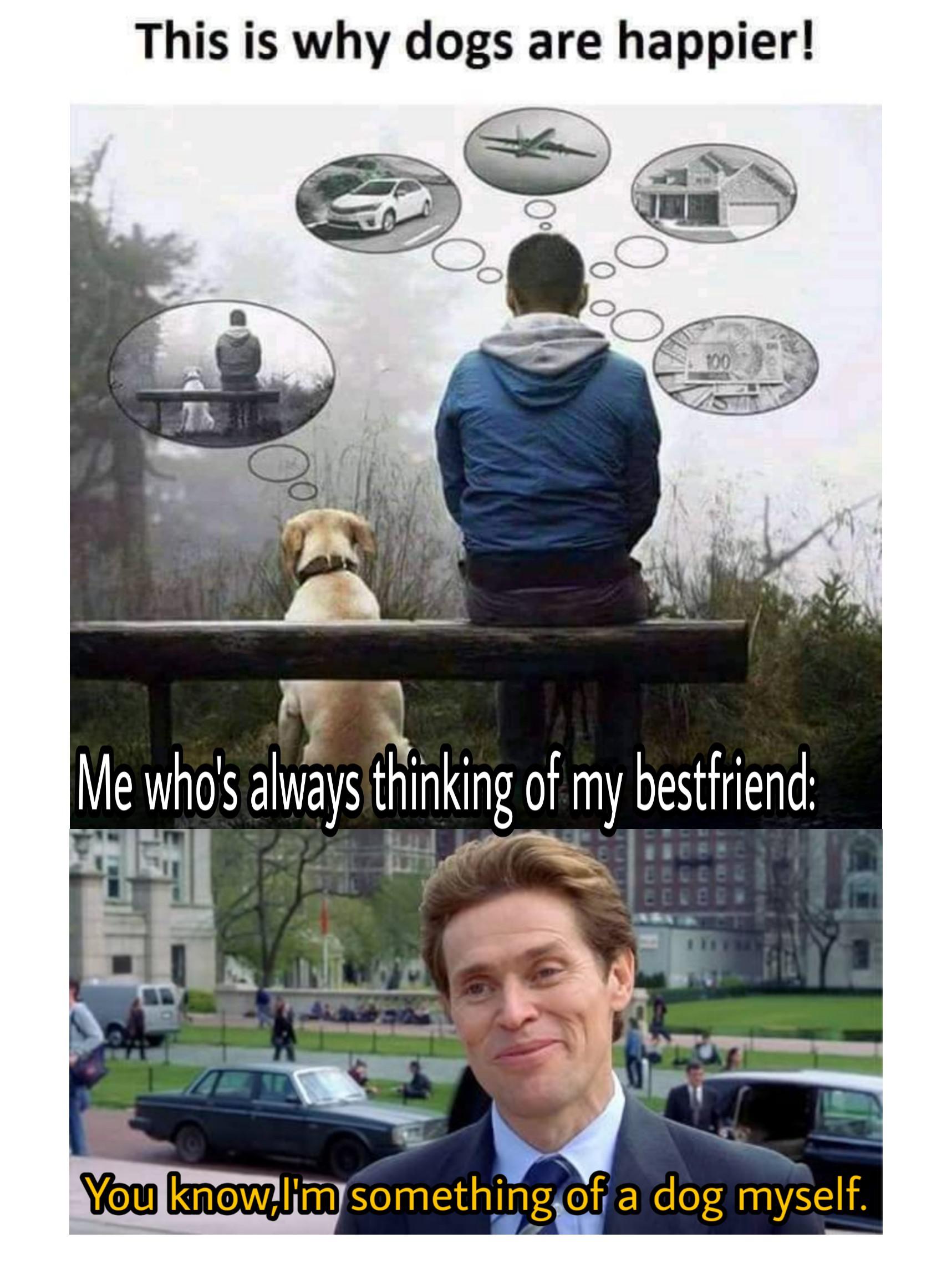 John wick approves. | Scrolller