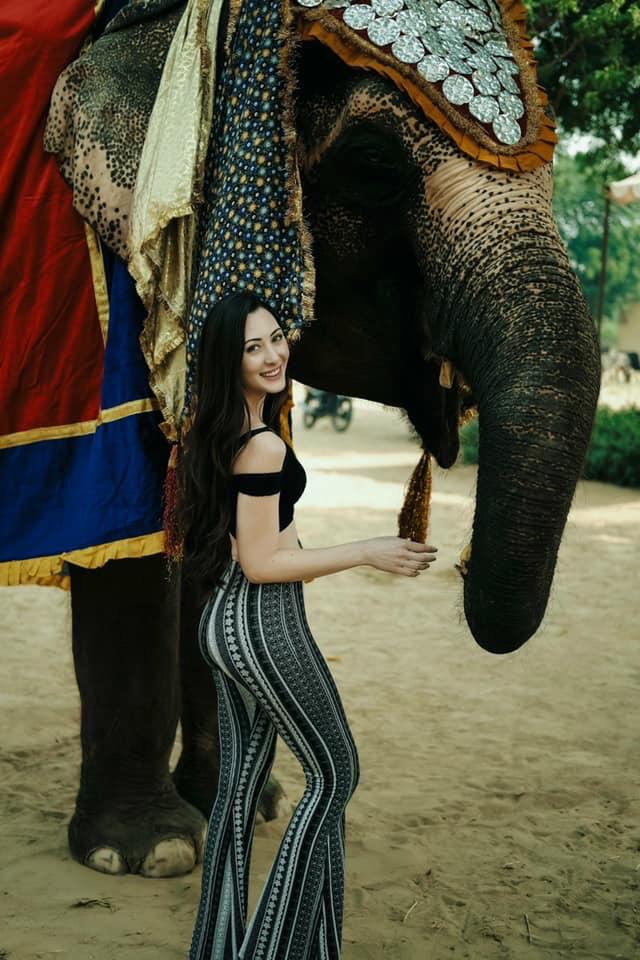 Junk in the trunk 🐘 | Scrolller