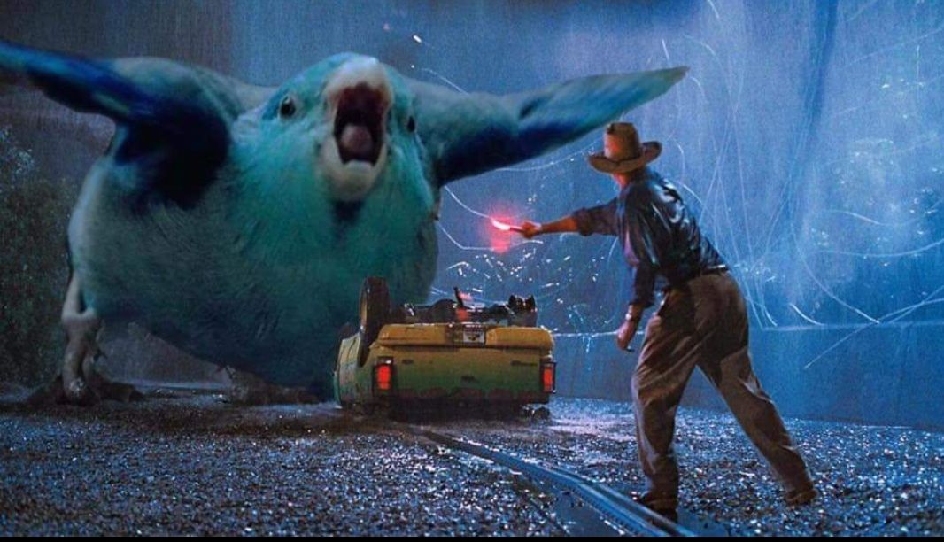 Jurassic Borb! | Scrolller