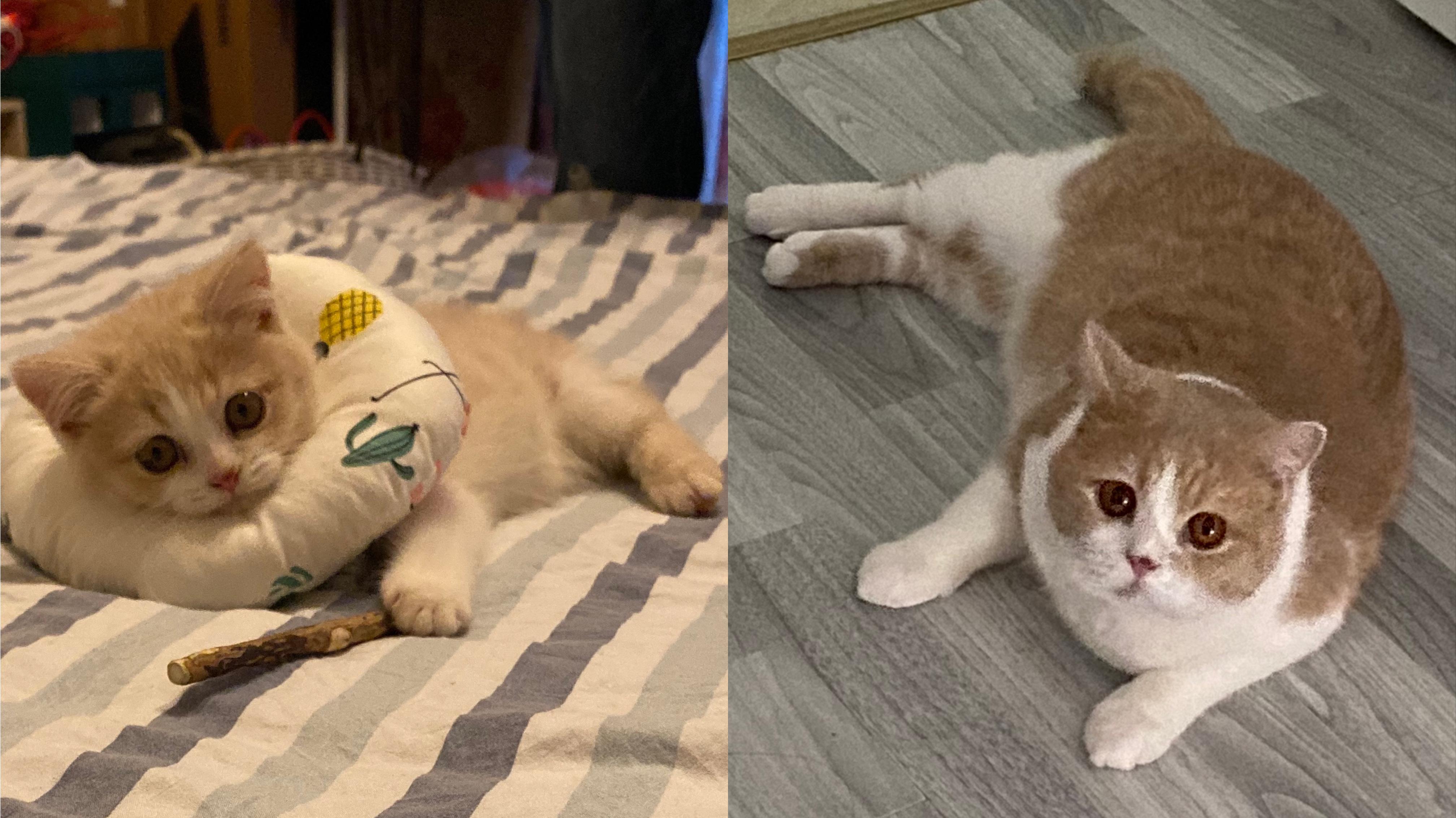 Just 1 Year Later. | Scrolller