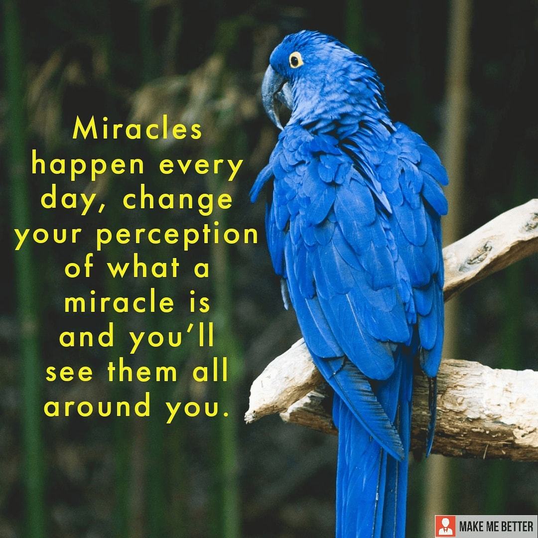 Just a little change - "Miracles happen every day, change your perception of what a miracle is ...