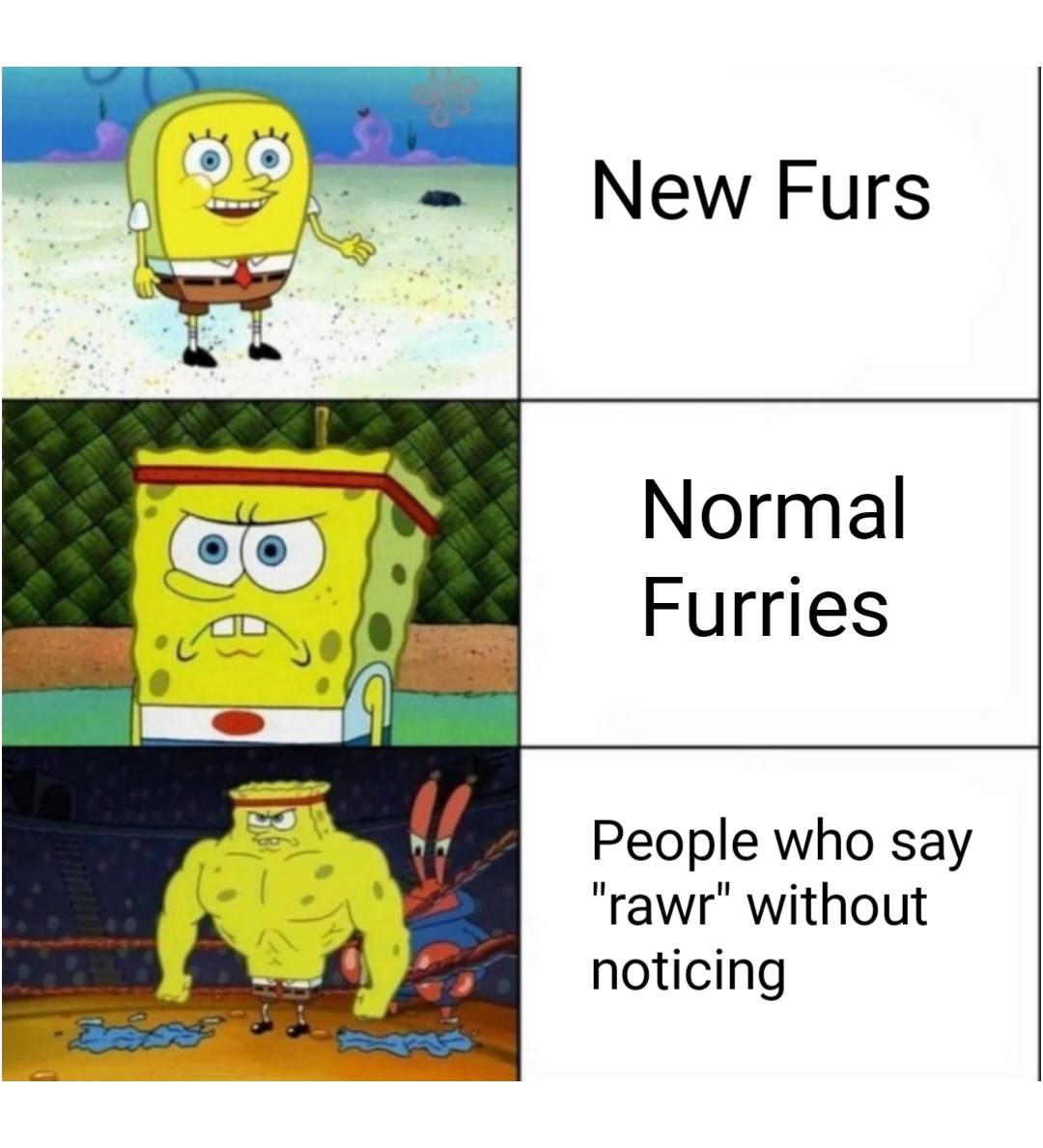 Just a quick meme to say hi | Scrolller