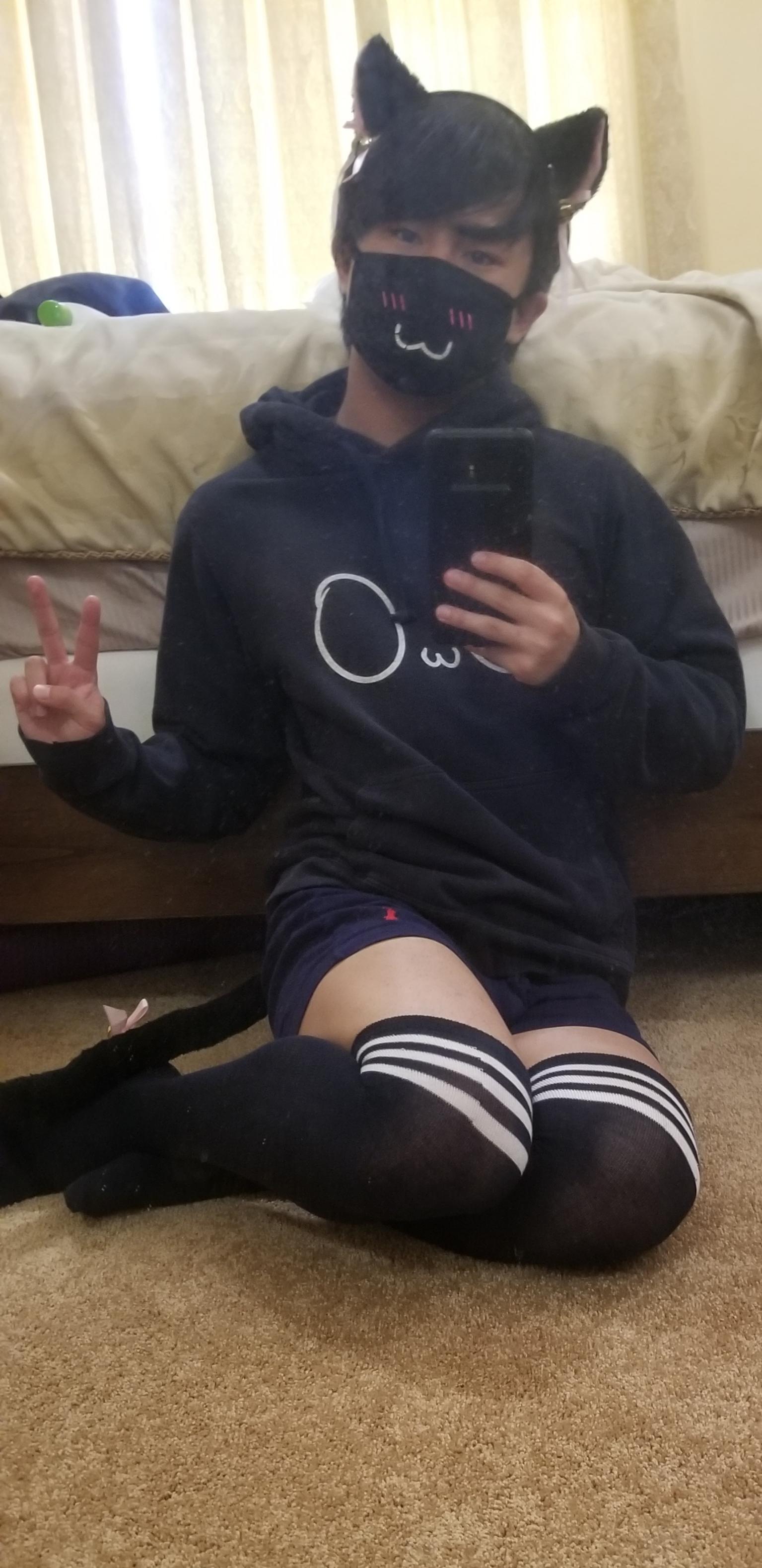 Just another catboy | Scrolller