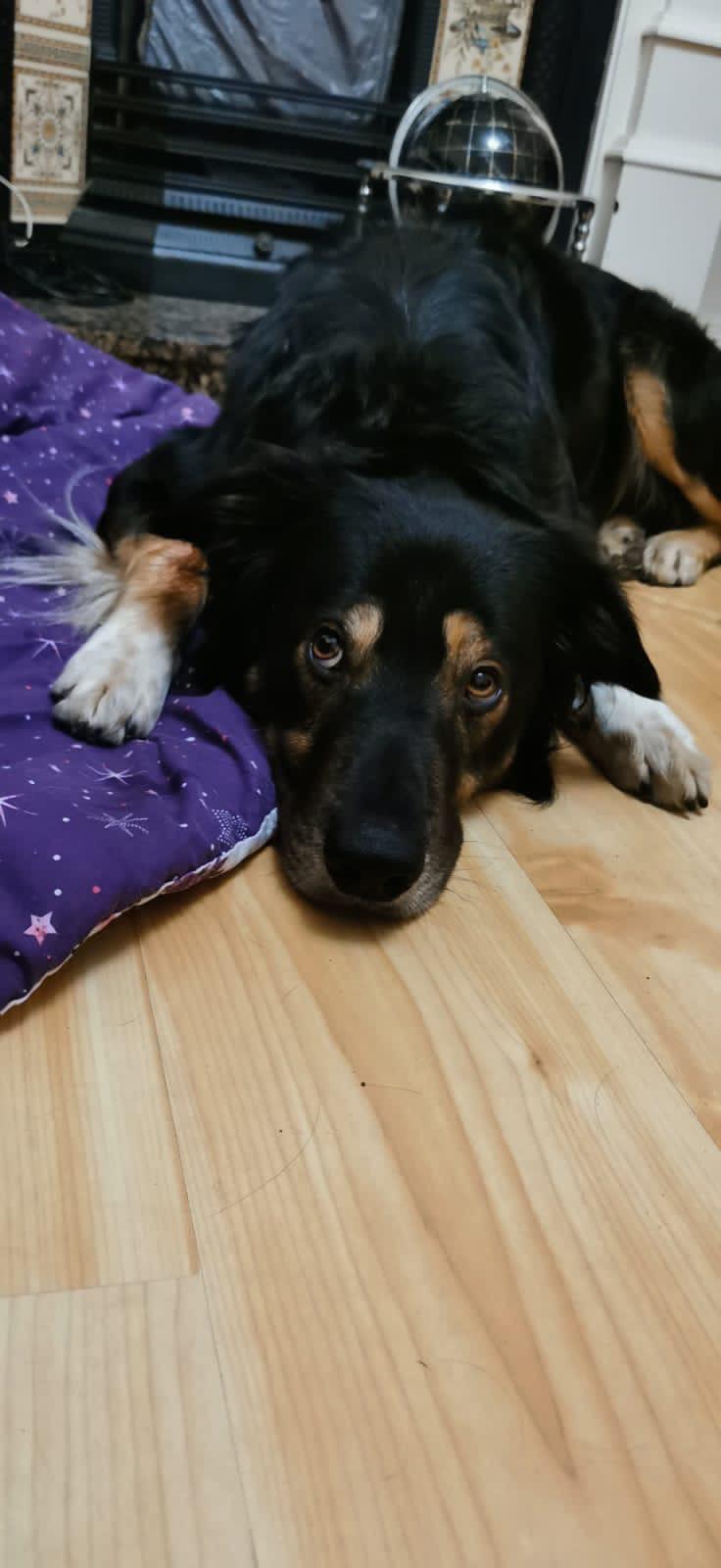 Just being cute 🐾 | Scrolller