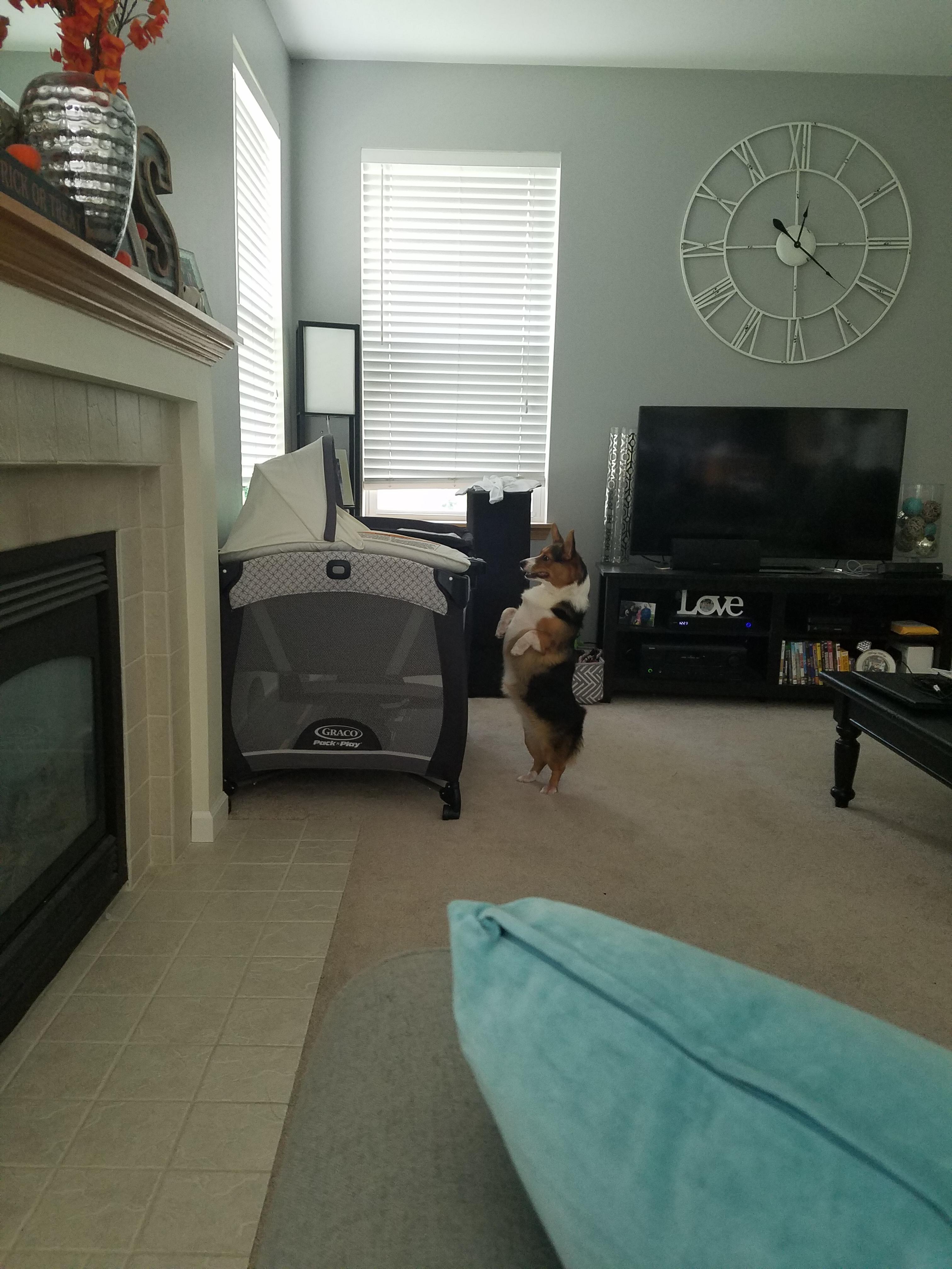 Just checking up on my baby brother | Scrolller